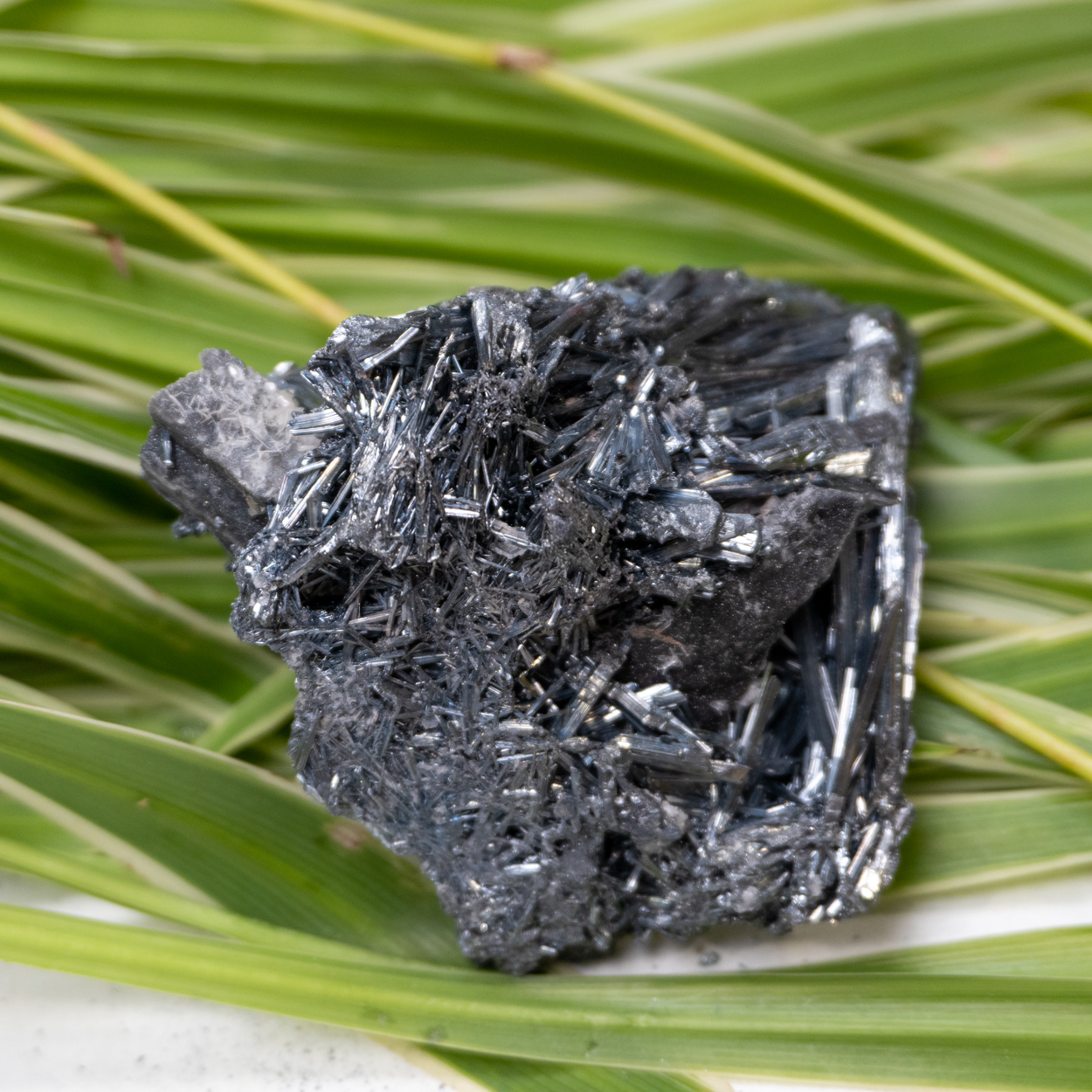 Stibnite #14 - The Crystal Council