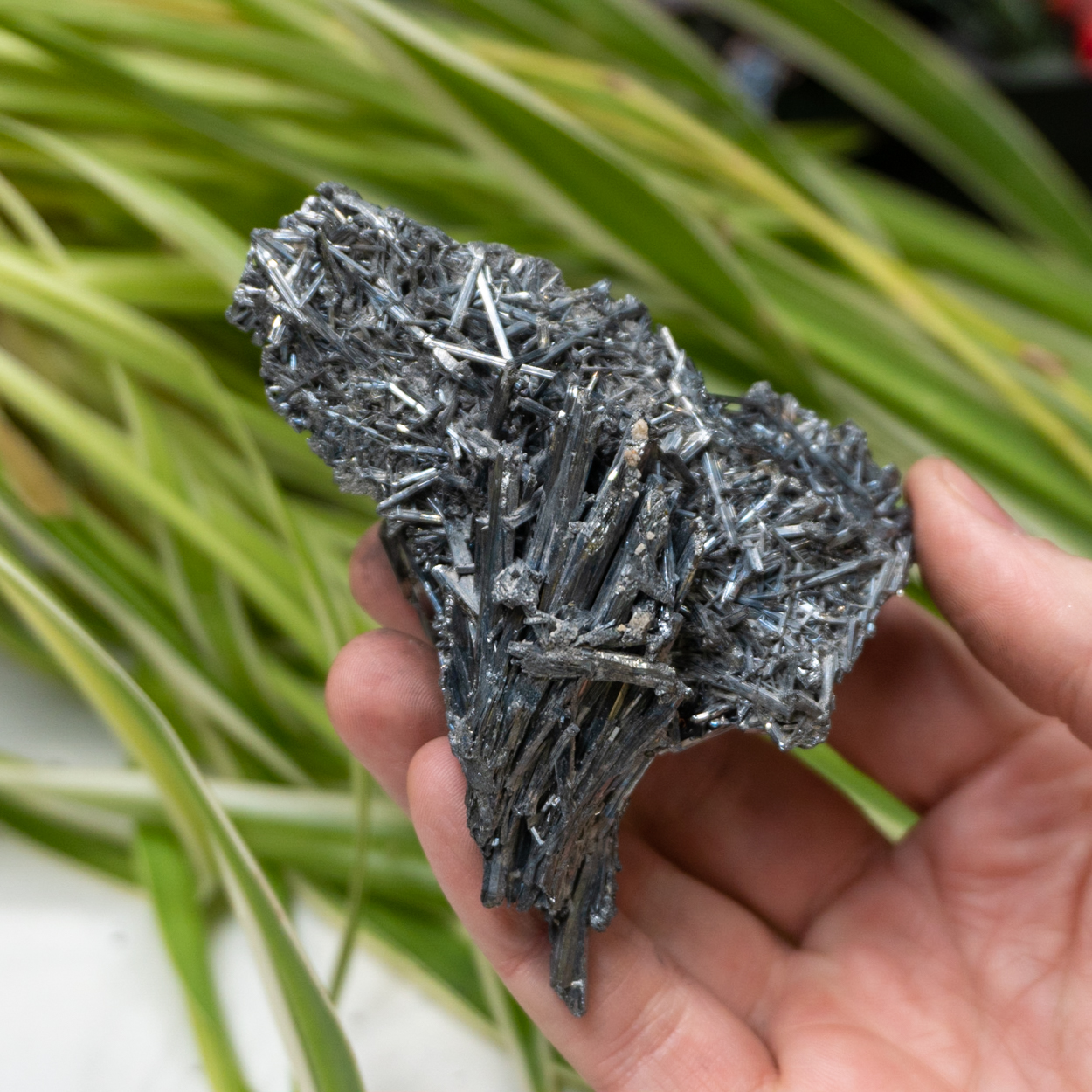 Stibnite #11 - The Crystal Council