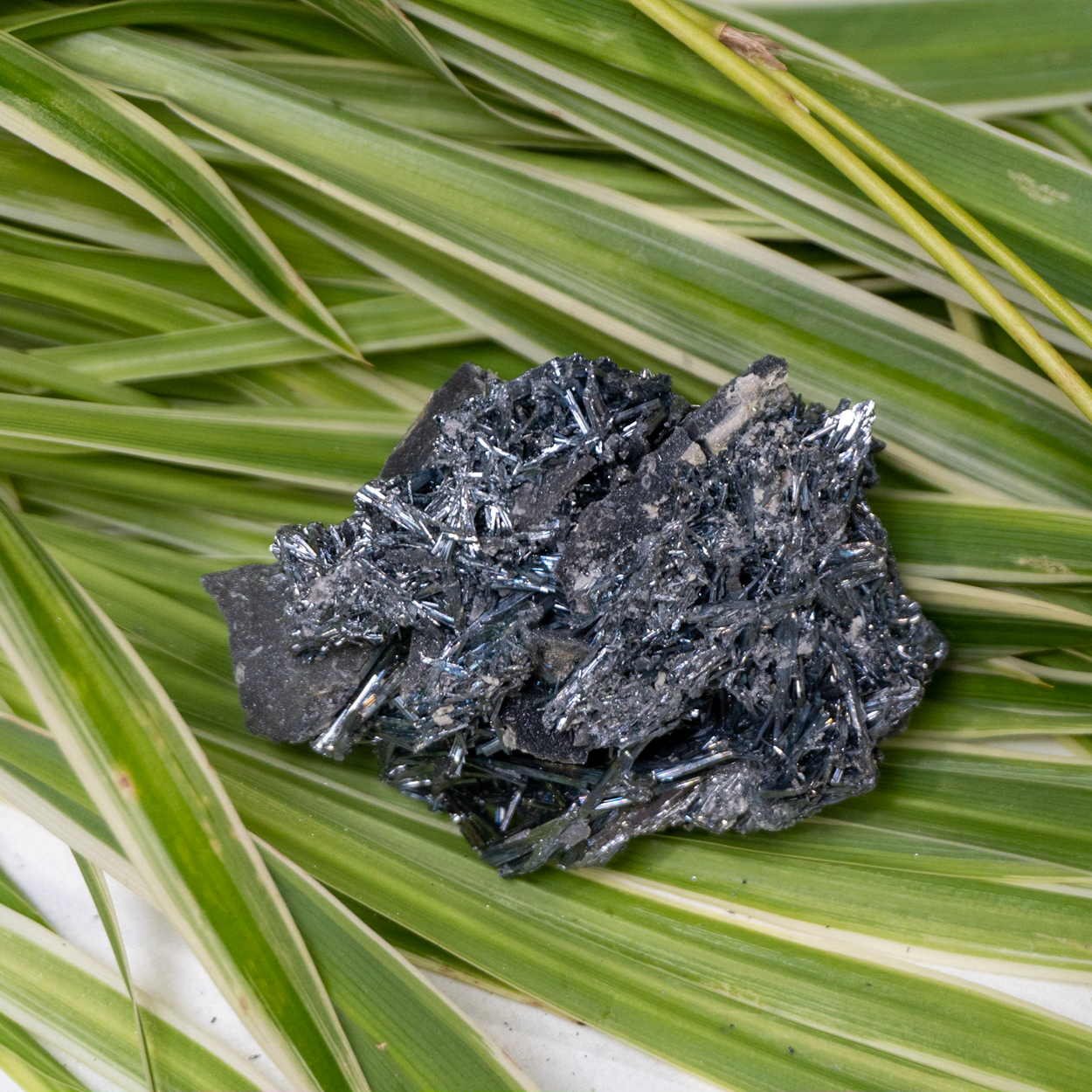 Stibnite #8 - The Crystal Council