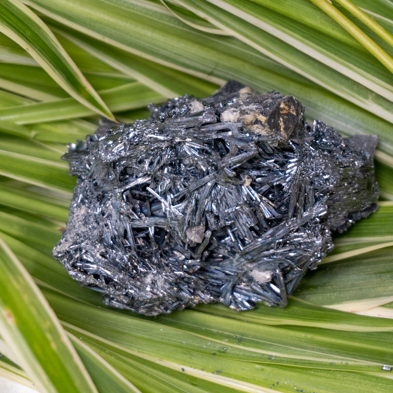 Stibnite #8 - The Crystal Council