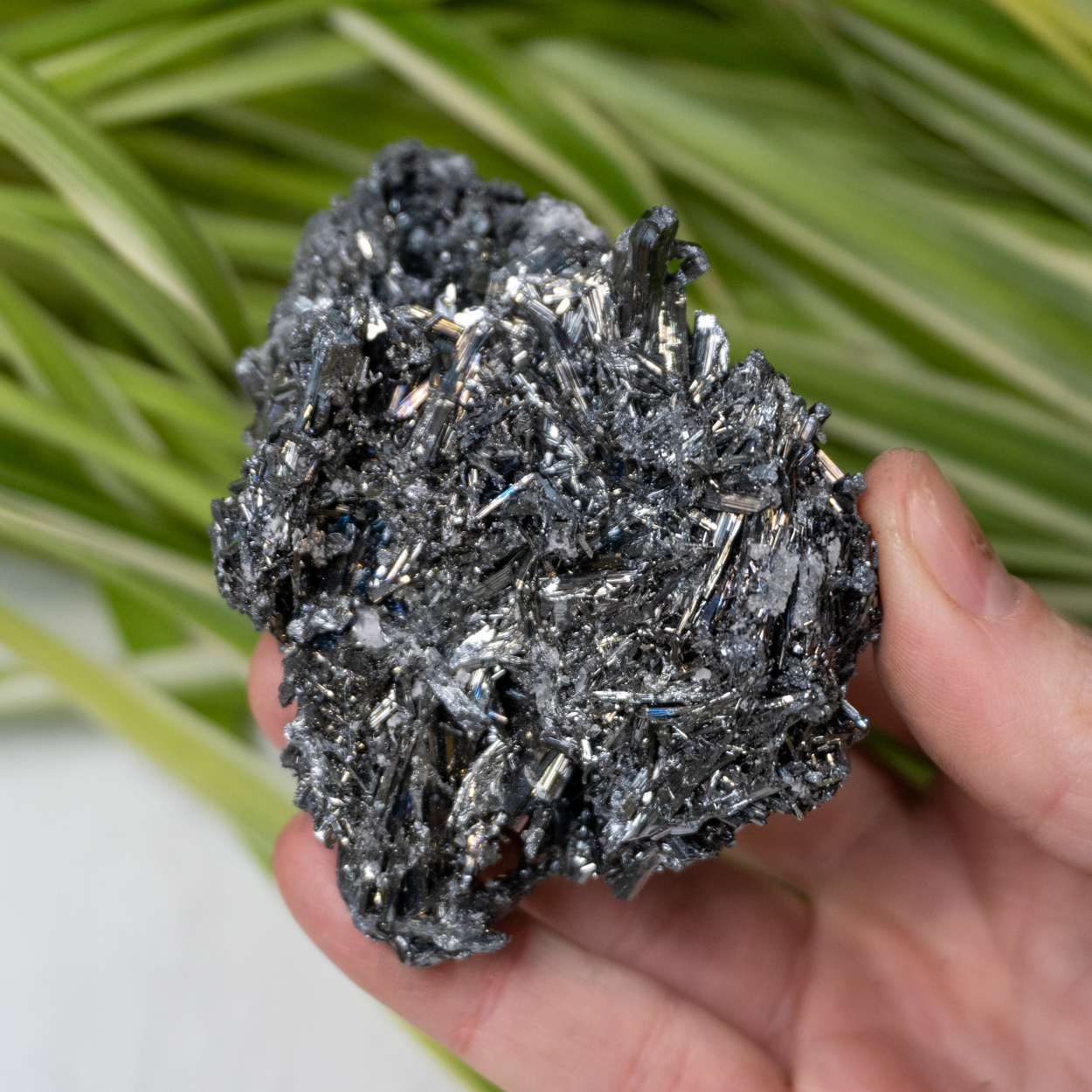 Stibnite #7 - The Crystal Council