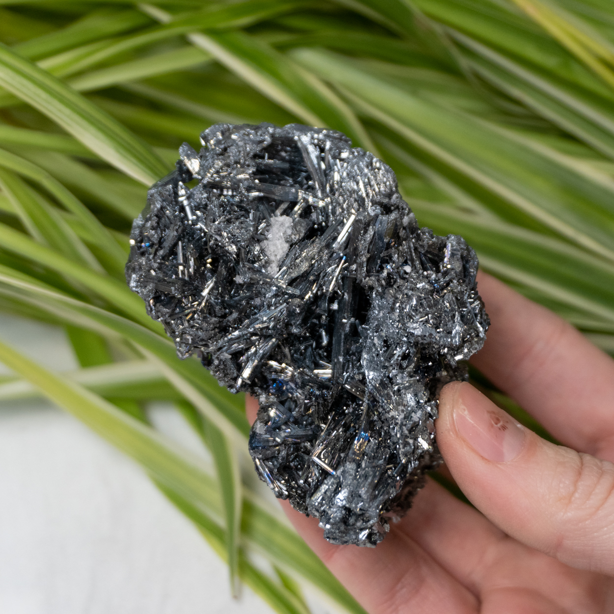 Stibnite #7 - The Crystal Council