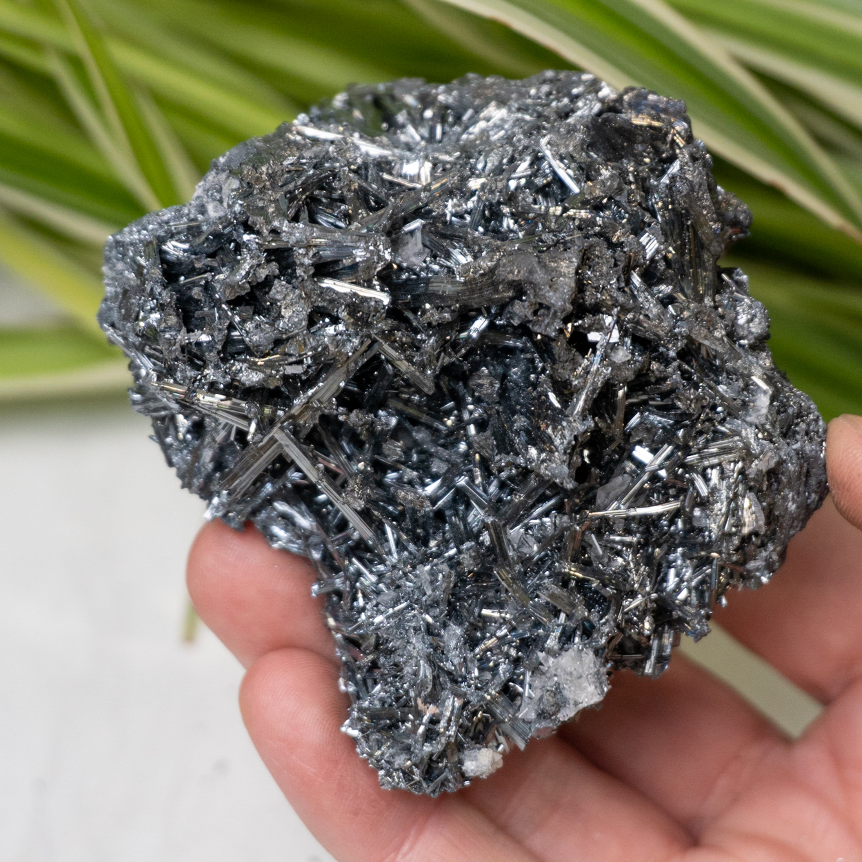 Stibnite #6 - The Crystal Council