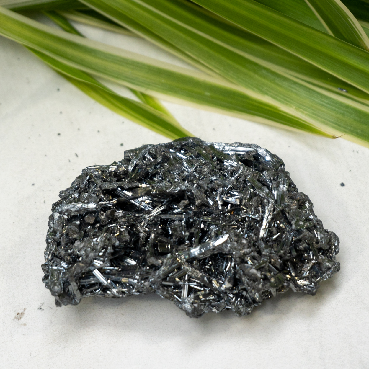 Stibnite #5 - The Crystal Council