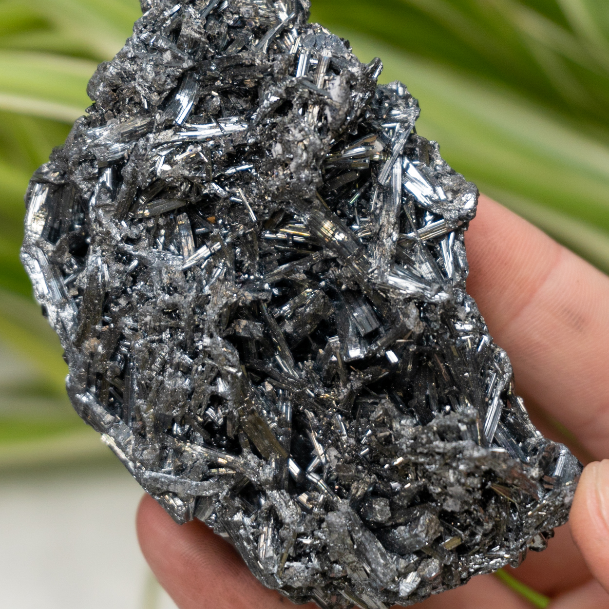 Stibnite #5 - The Crystal Council