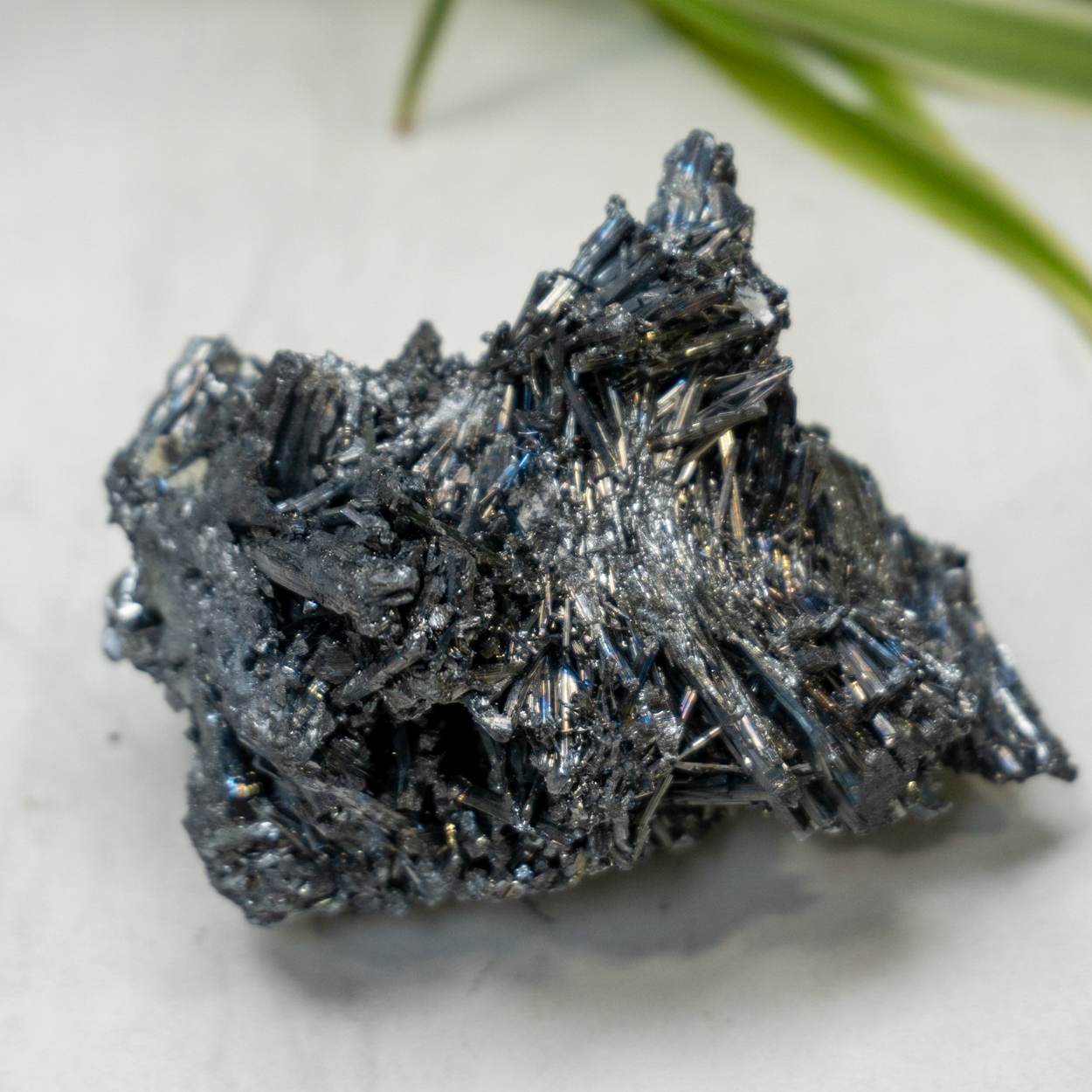 Stibnite #3 - The Crystal Council