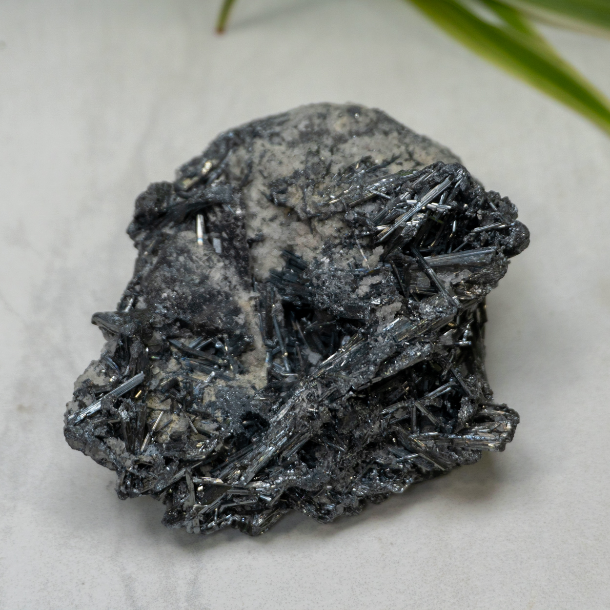 Stibnite #2 - The Crystal Council