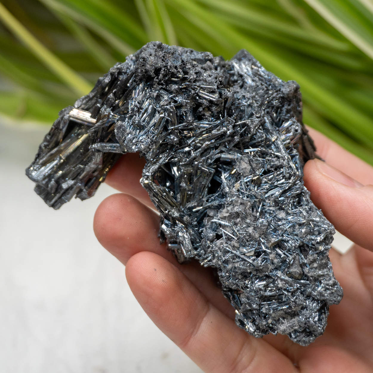 Stibnite #1 - The Crystal Council