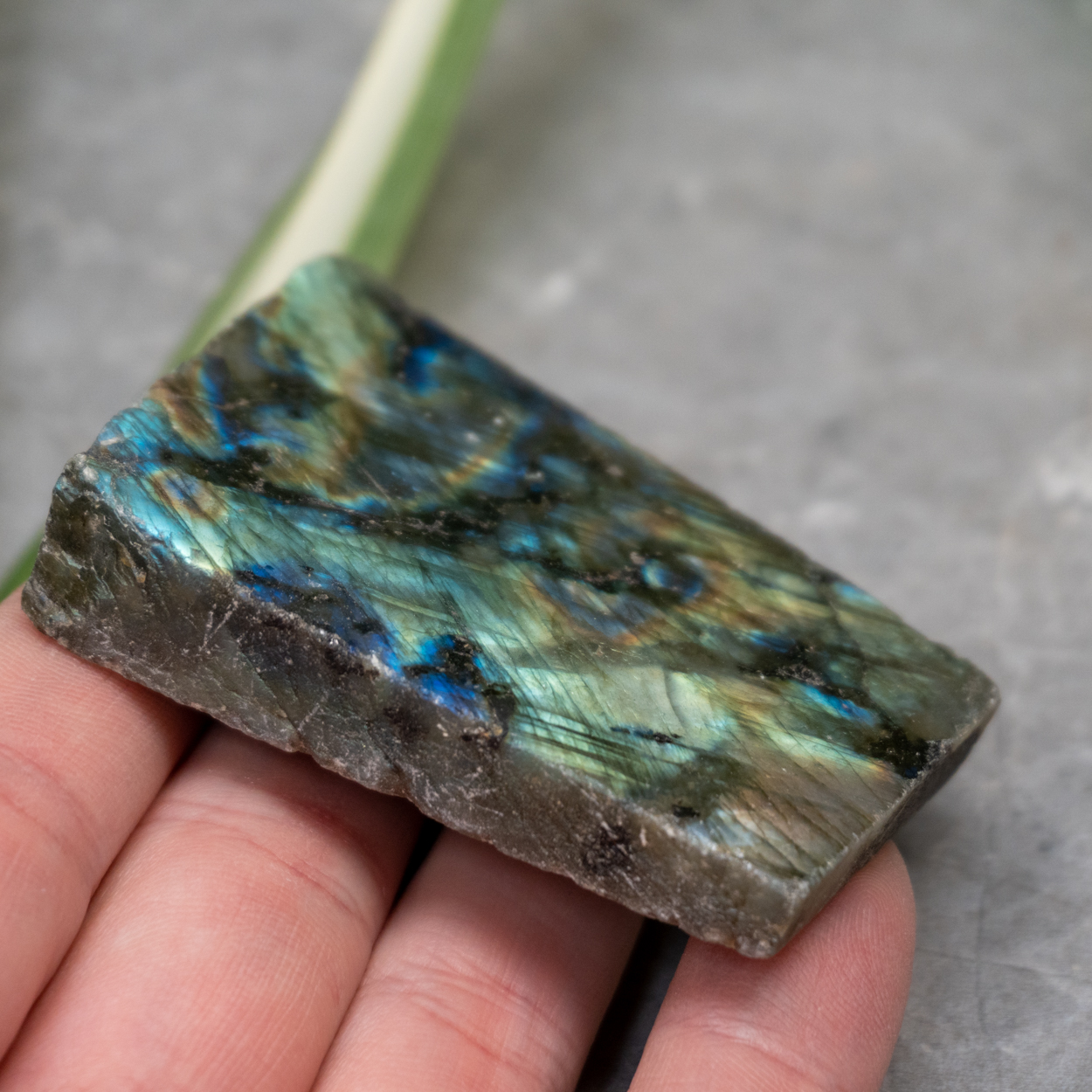Half-Polished Labradorite #9 - The Crystal Council
