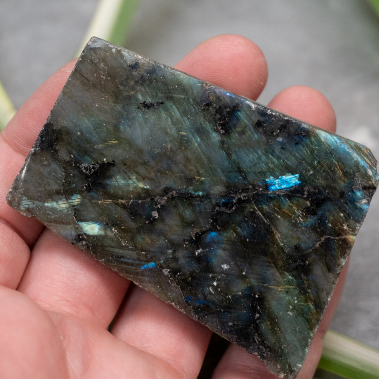 Half-Polished Labradorite #9 - The Crystal Council