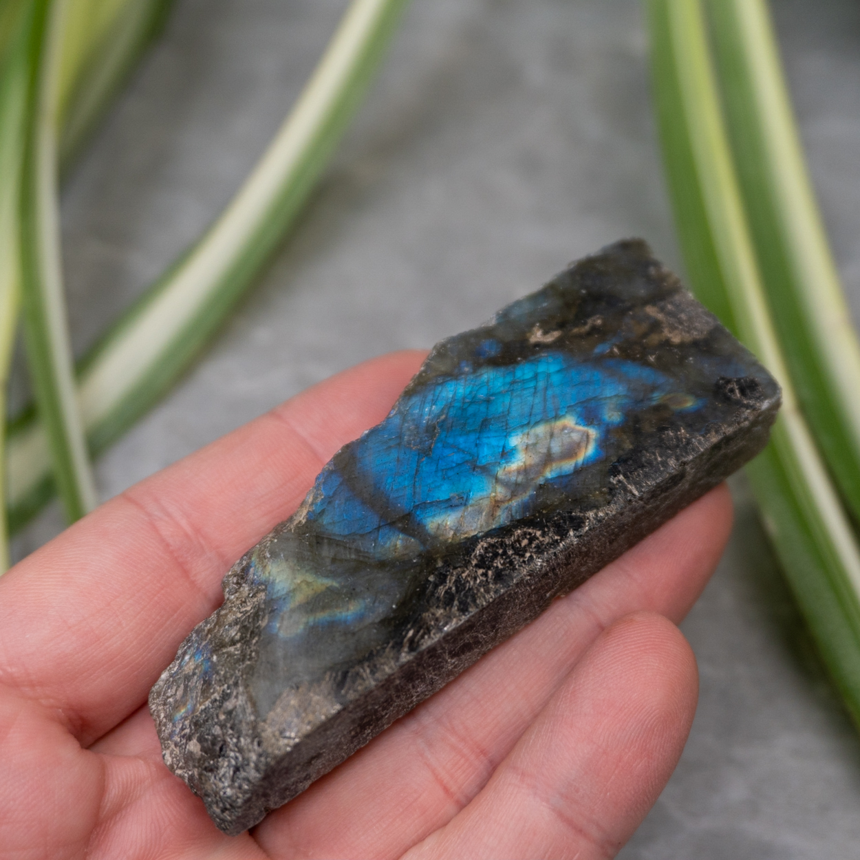 Half-Polished Labradorite #7 - The Crystal Council