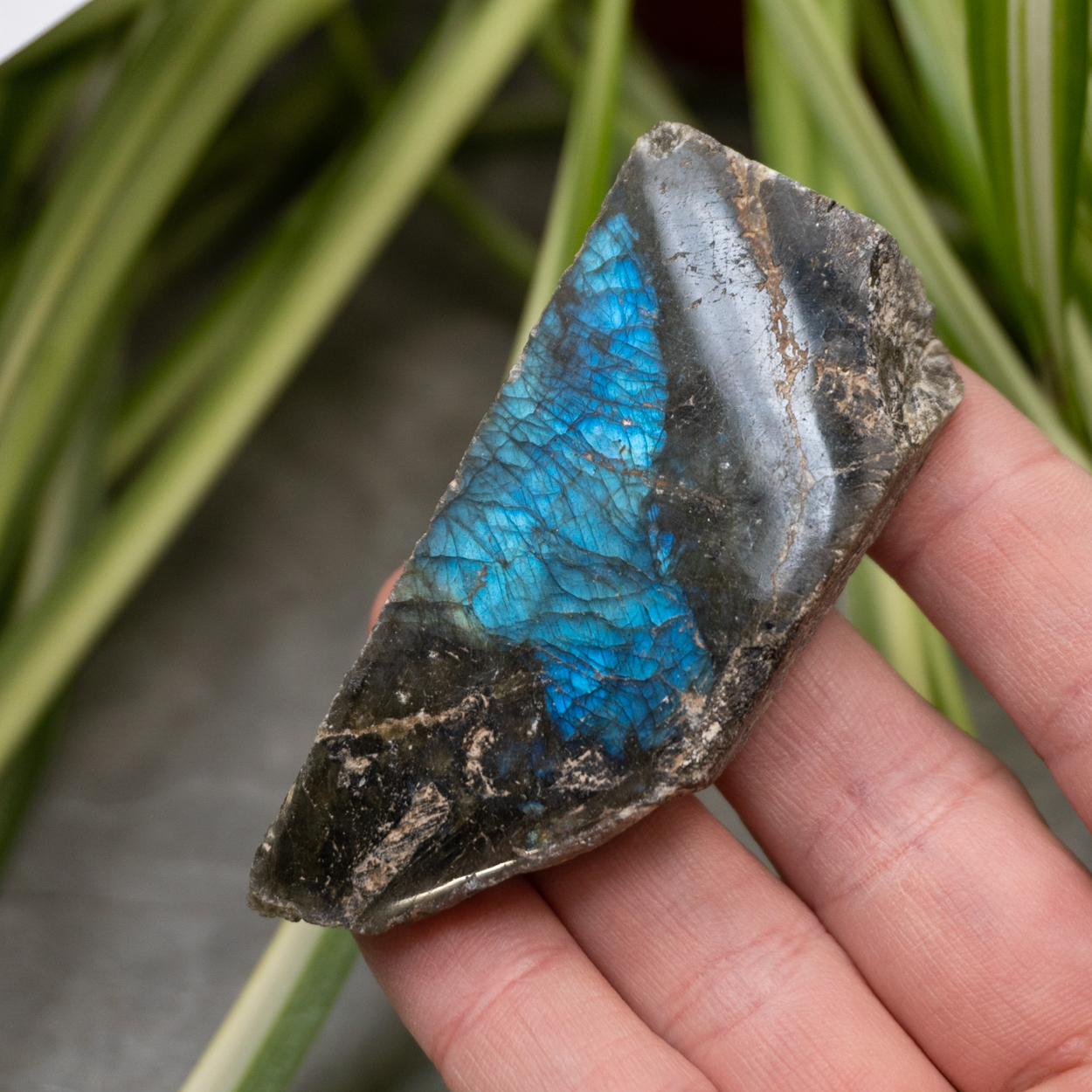Half-Polished Labradorite #2 - The Crystal Council