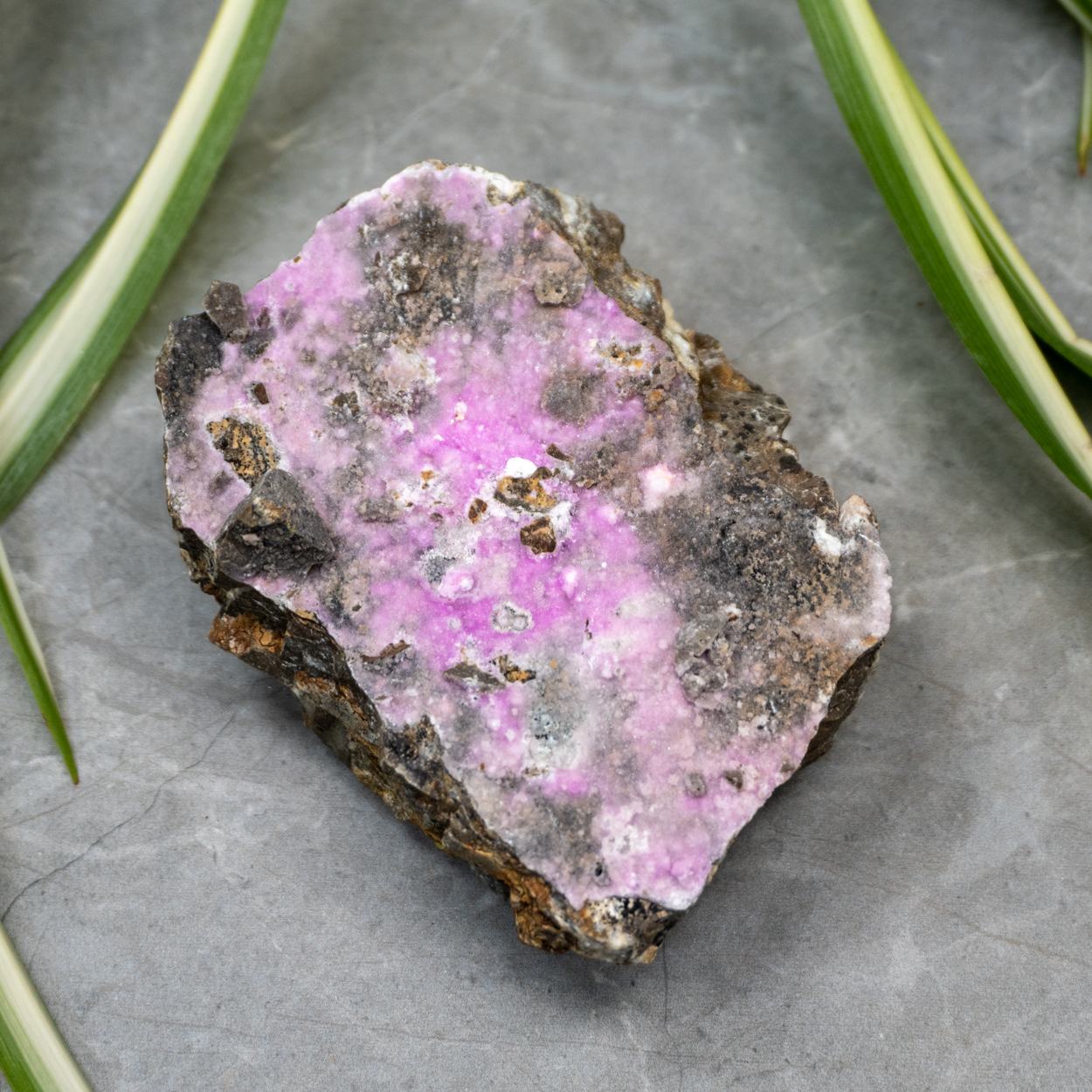 Raw Purple Aragonite #6 - The Crystal Council