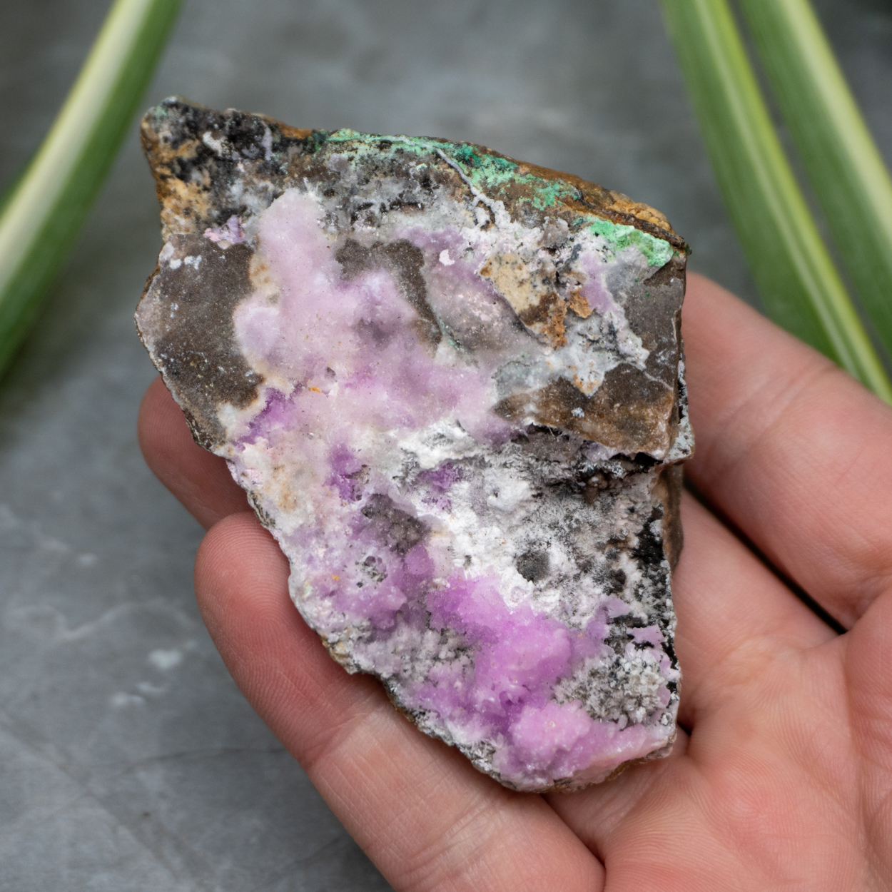 Raw Purple Aragonite #2 - The Crystal Council
