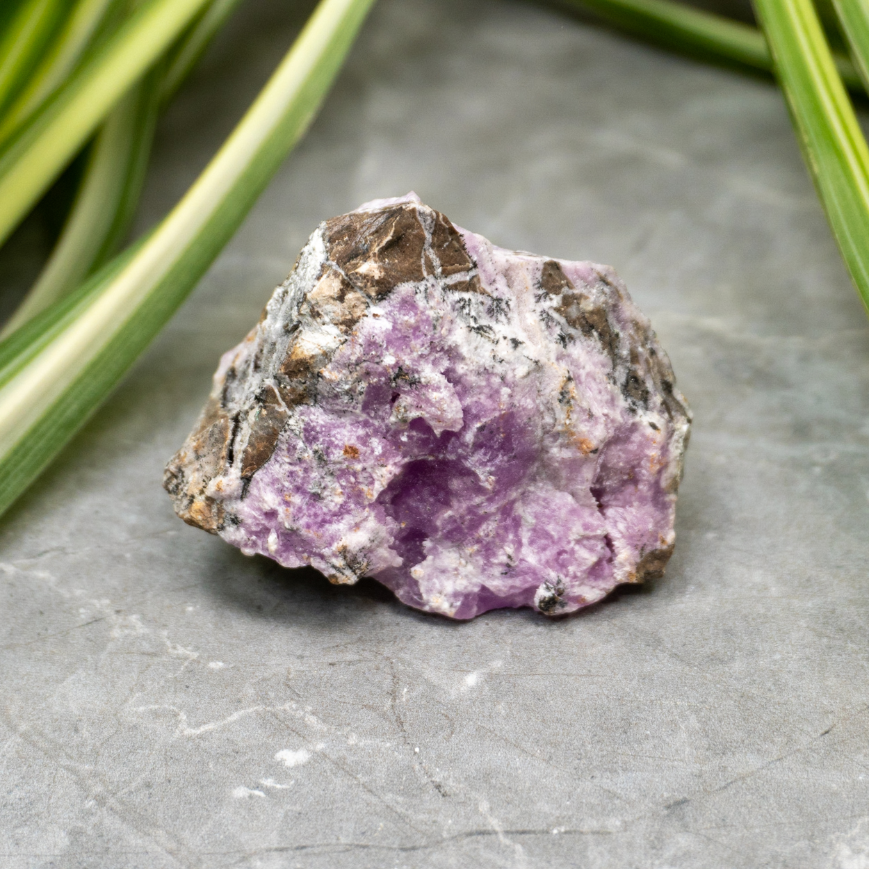 Raw Purple Aragonite #1 - The Crystal Council