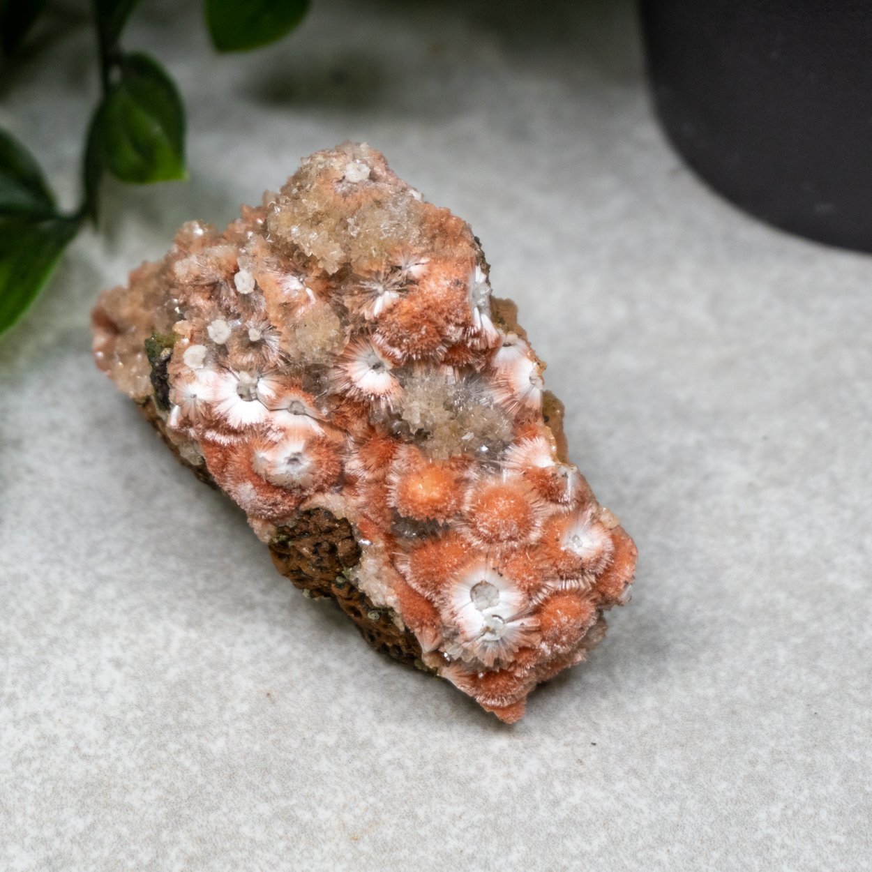 Raw Thomsonite #3 - The Crystal Council