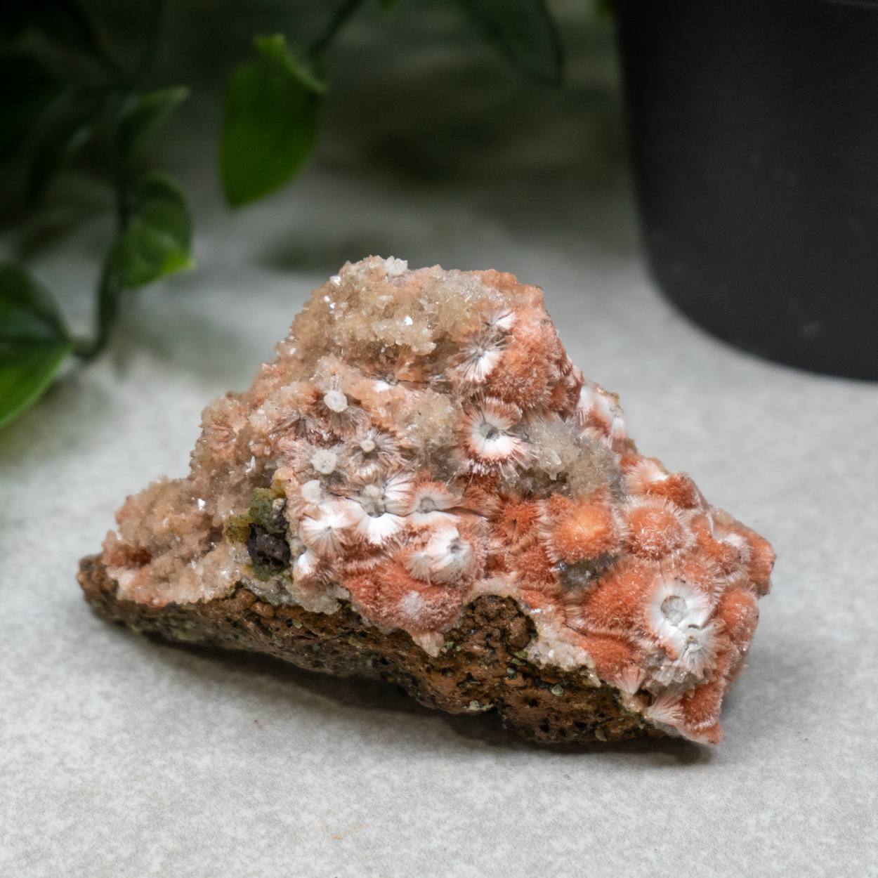 Raw Thomsonite #3 - The Crystal Council