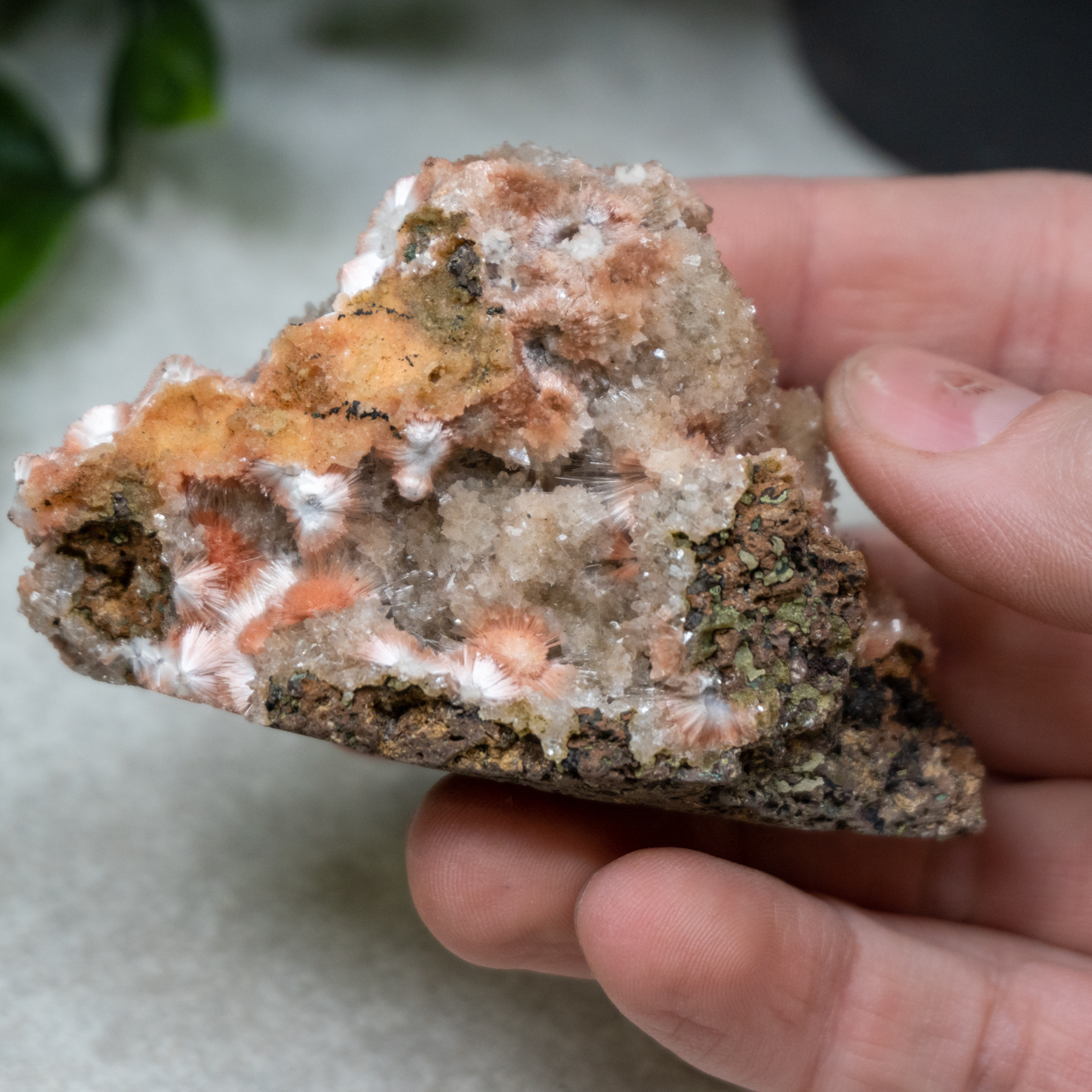 Raw Thomsonite #3 - The Crystal Council