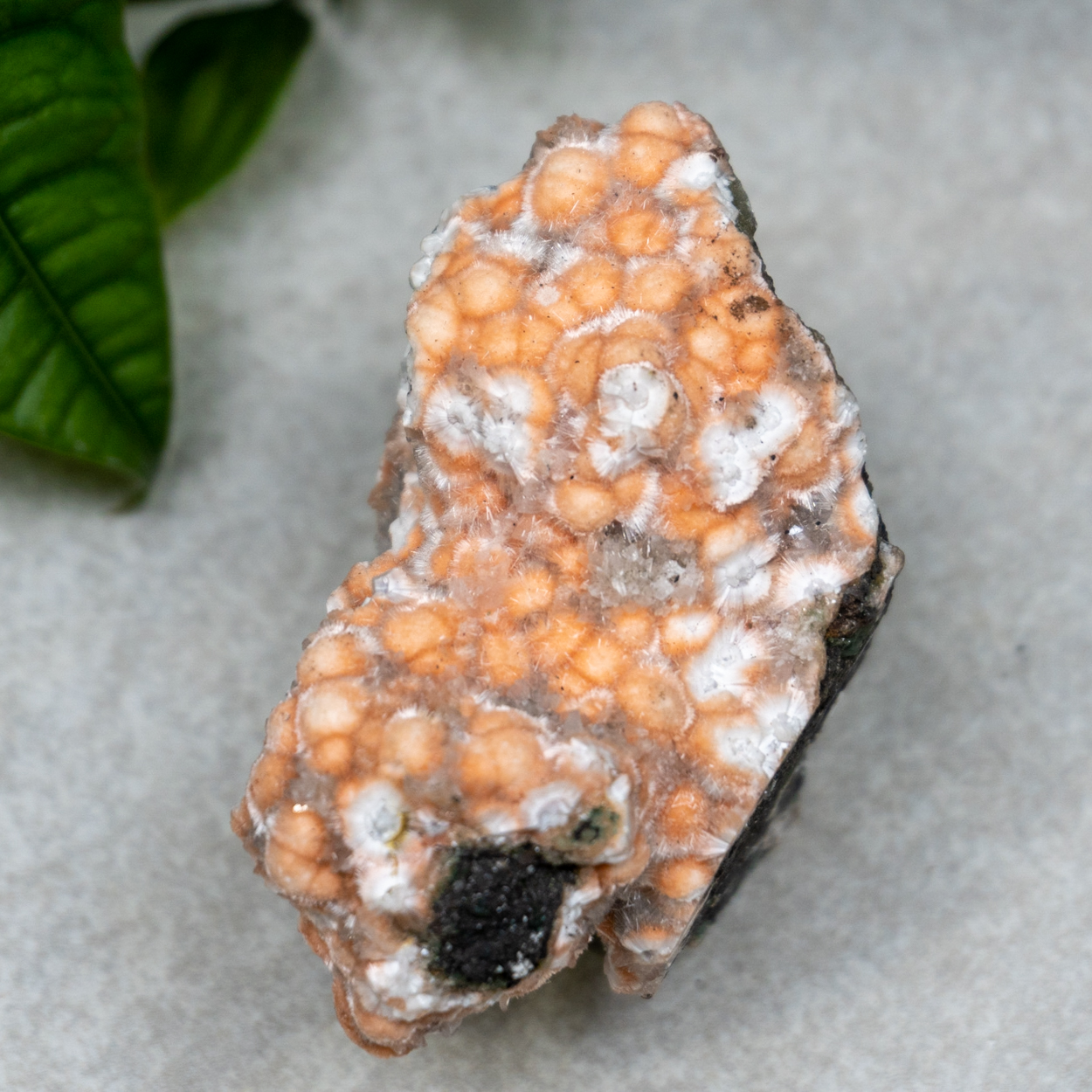 Raw Thomsonite #5 - The Crystal Council