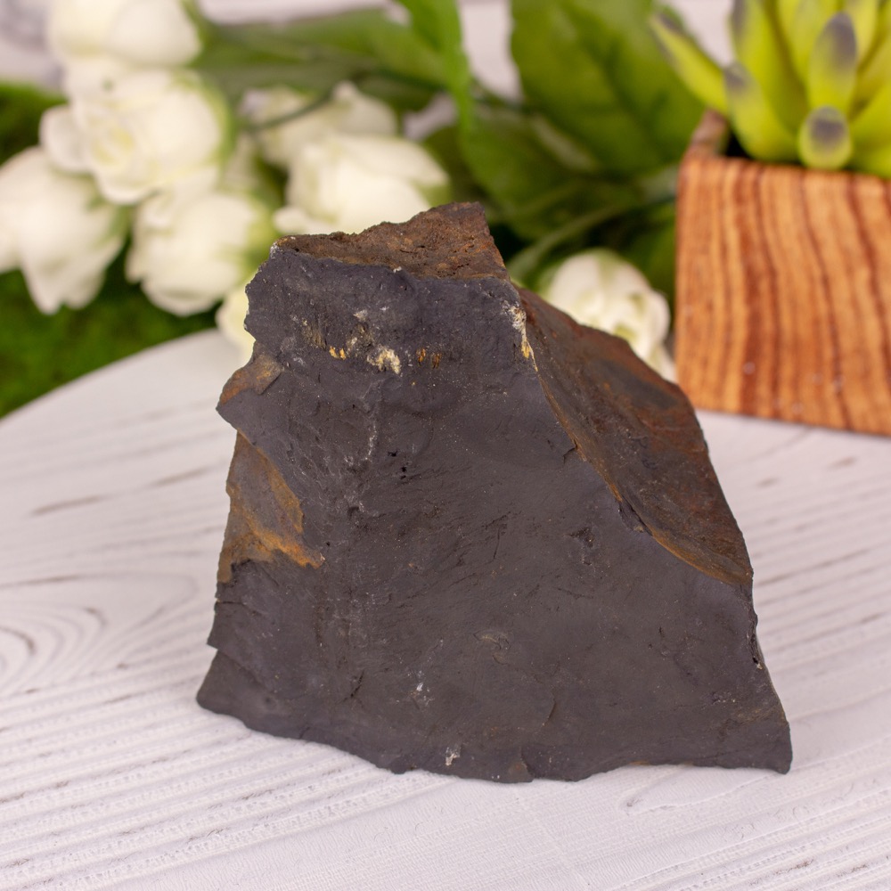 Raw Shungite #3 - The Crystal Council