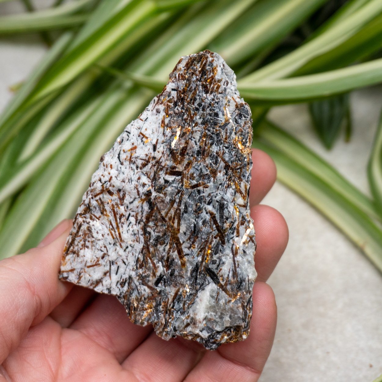 Astrophyllite #11 - The Crystal Council