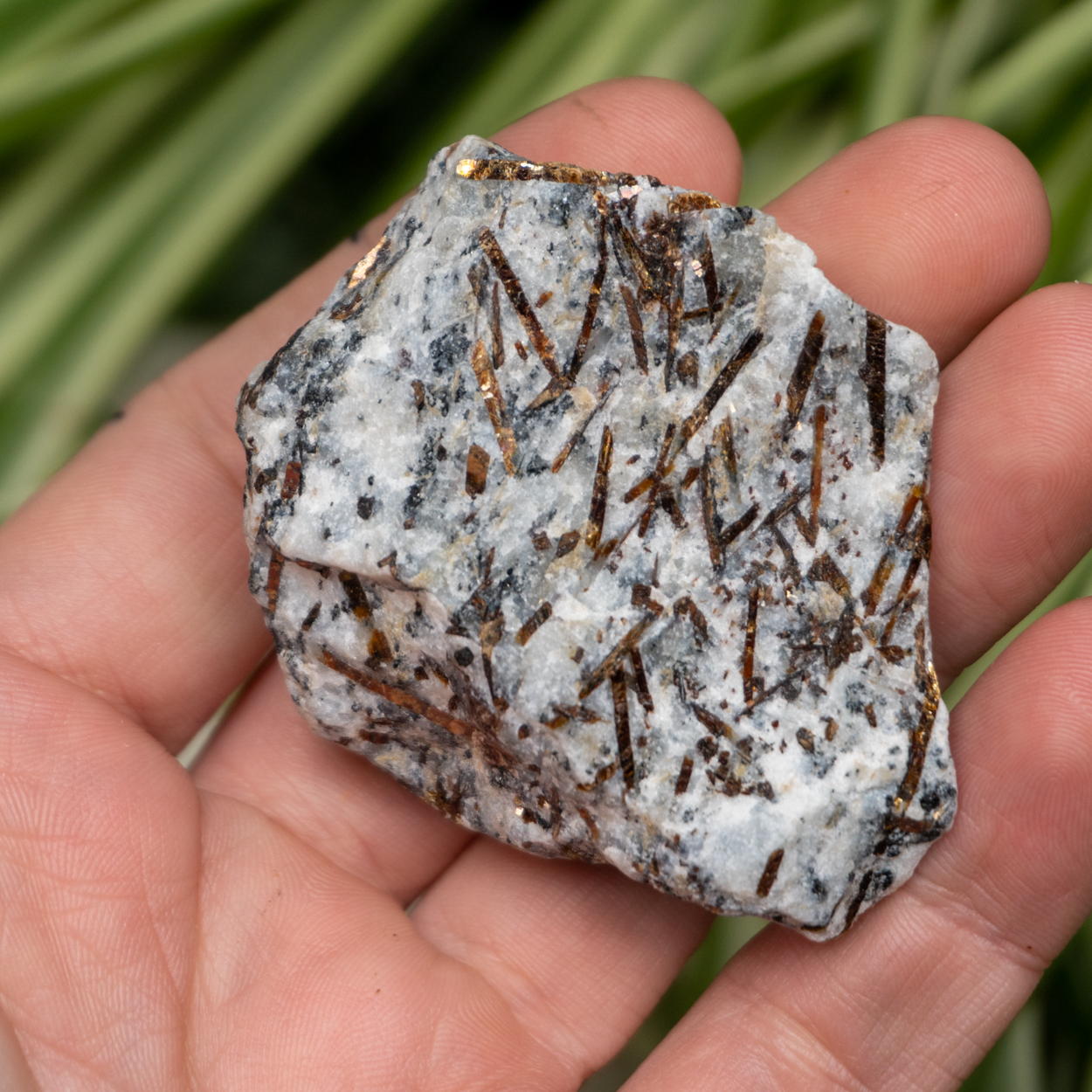 Astrophyllite #8 - The Crystal Council