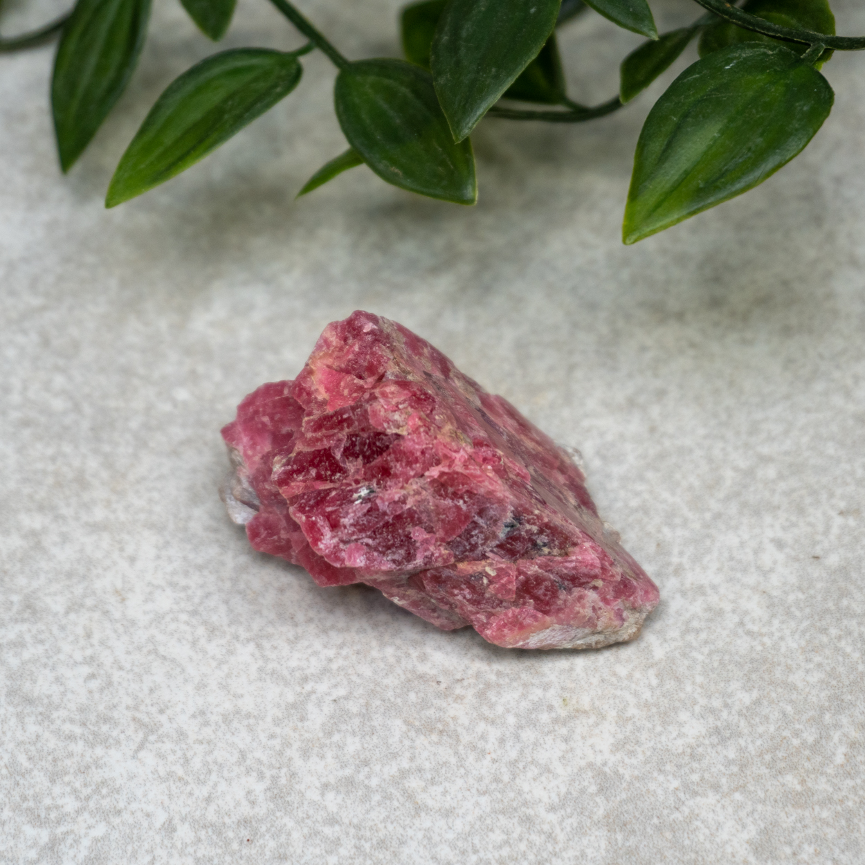 Raw Rhodonite #1 - The Crystal Council