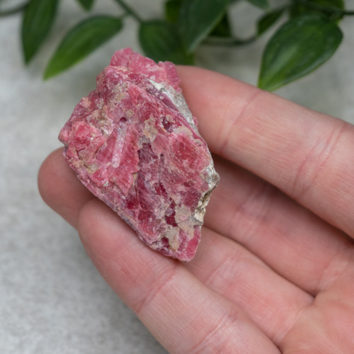 Raw Rhodonite #1 - The Crystal Council