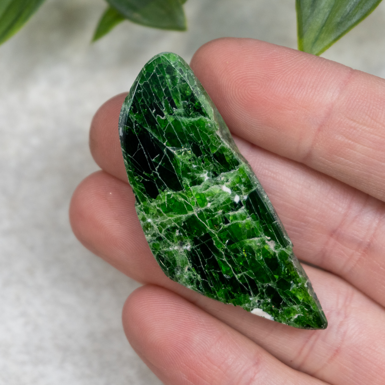 Chrome Diopside #3 - The Crystal Council