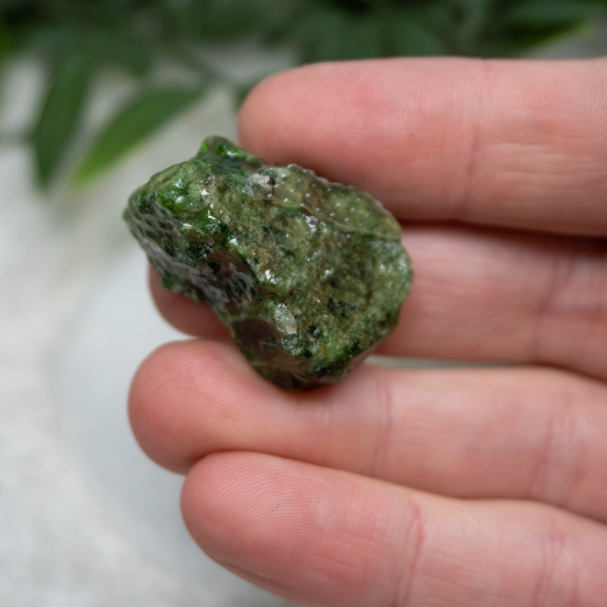 Chrome Diopside #2 - The Crystal Council