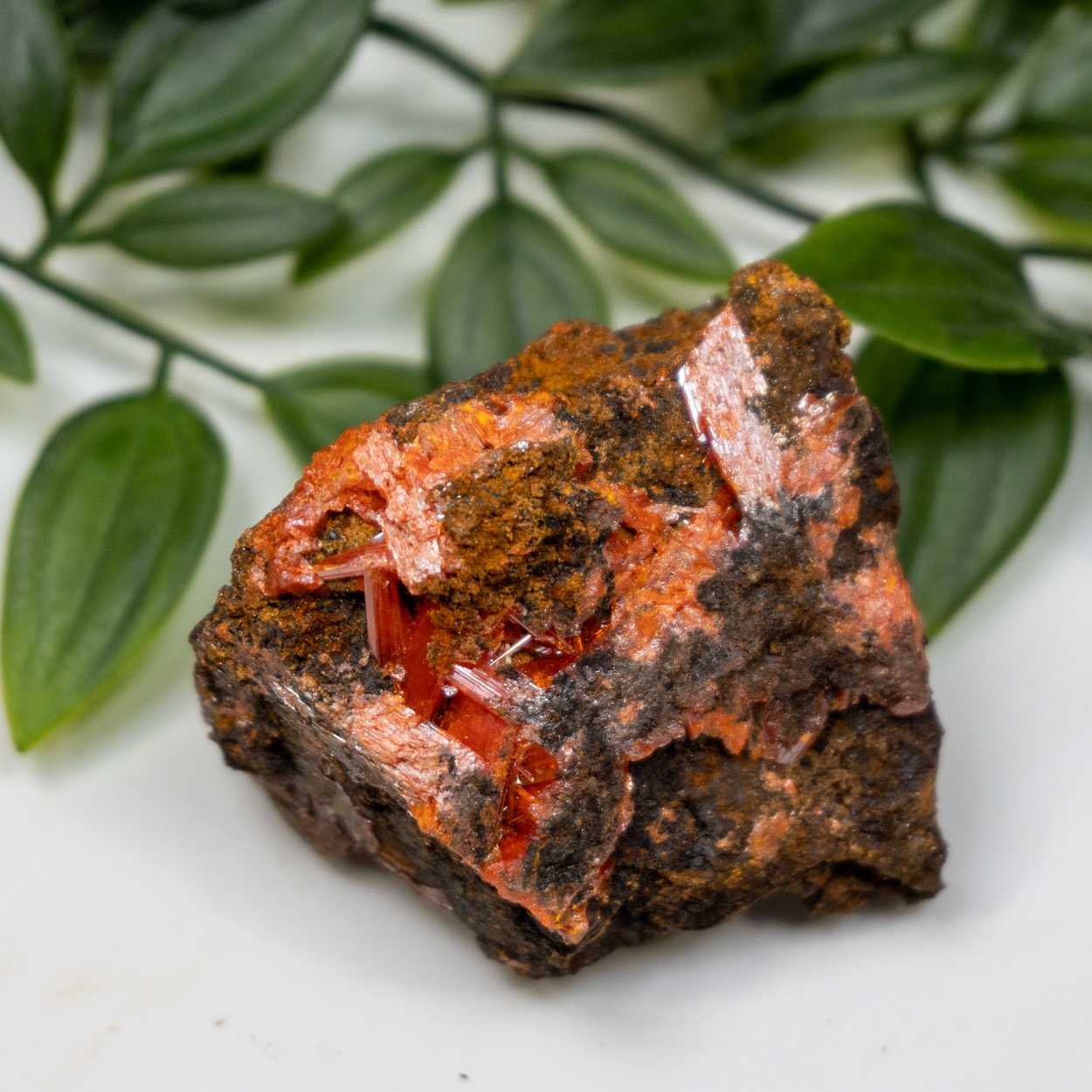 Raw Crocoite #24 - The Crystal Council