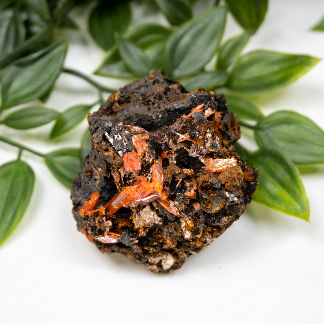 Raw Crocoite #22 - The Crystal Council