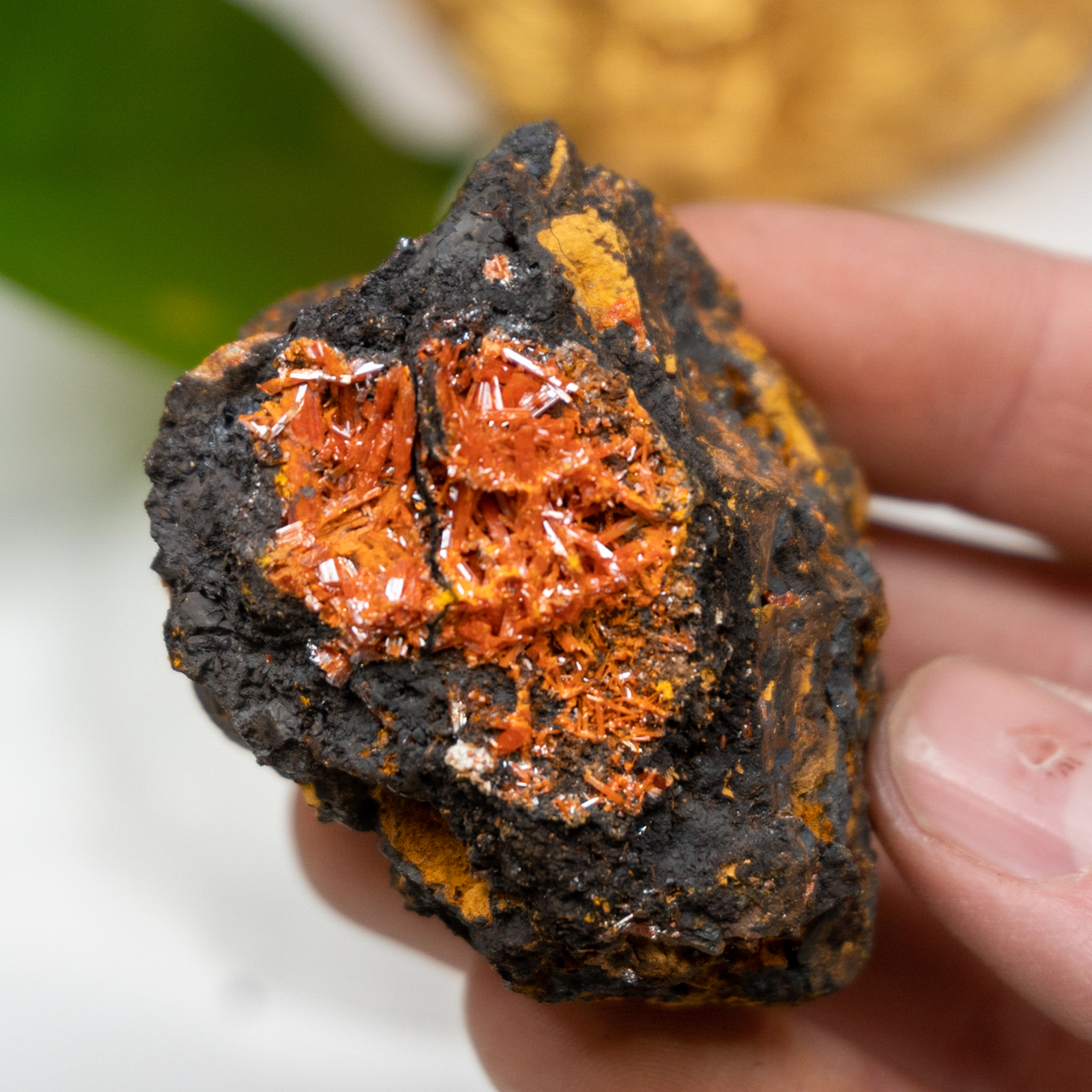 Raw Crocoite #19 - The Crystal Council