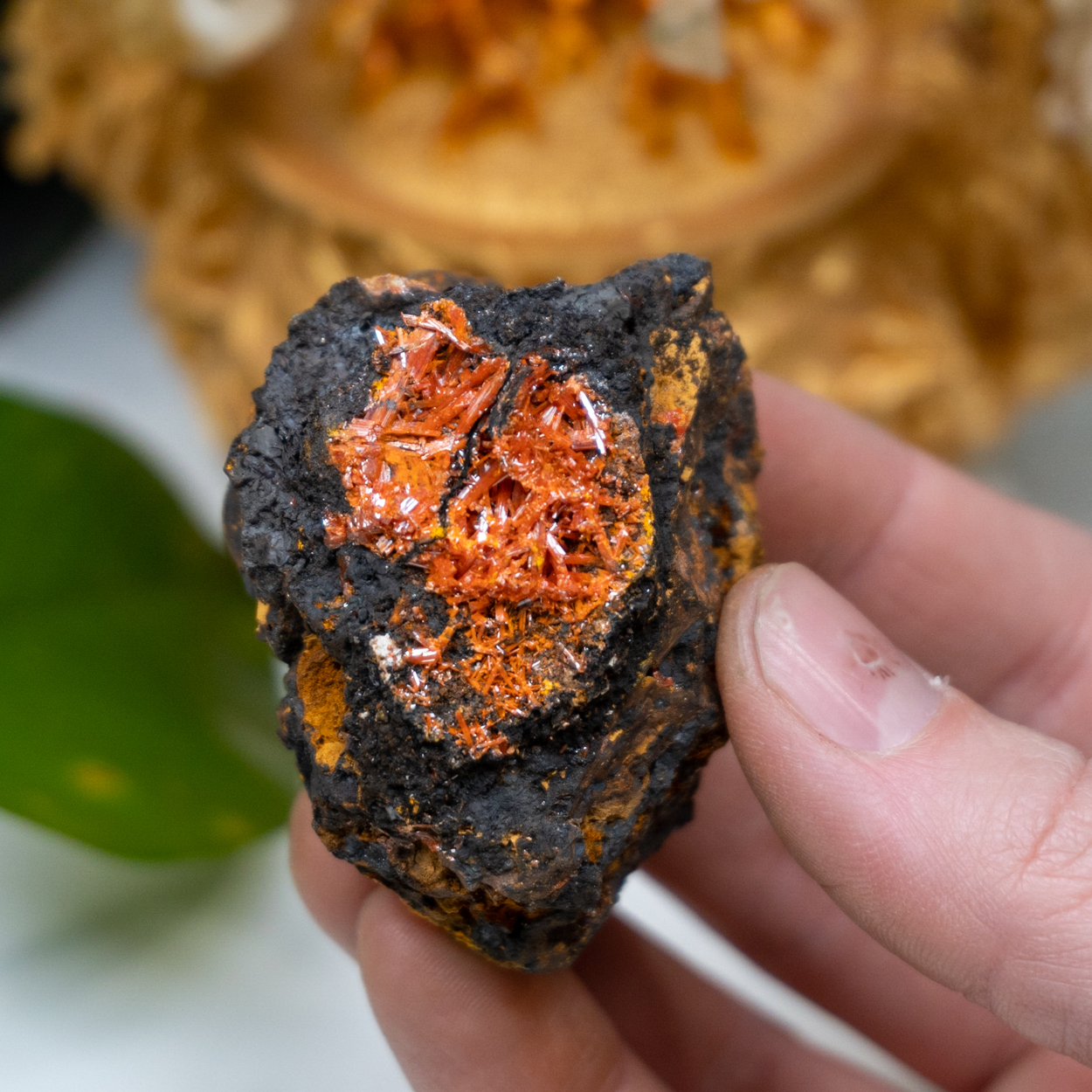 Raw Crocoite #19 - The Crystal Council