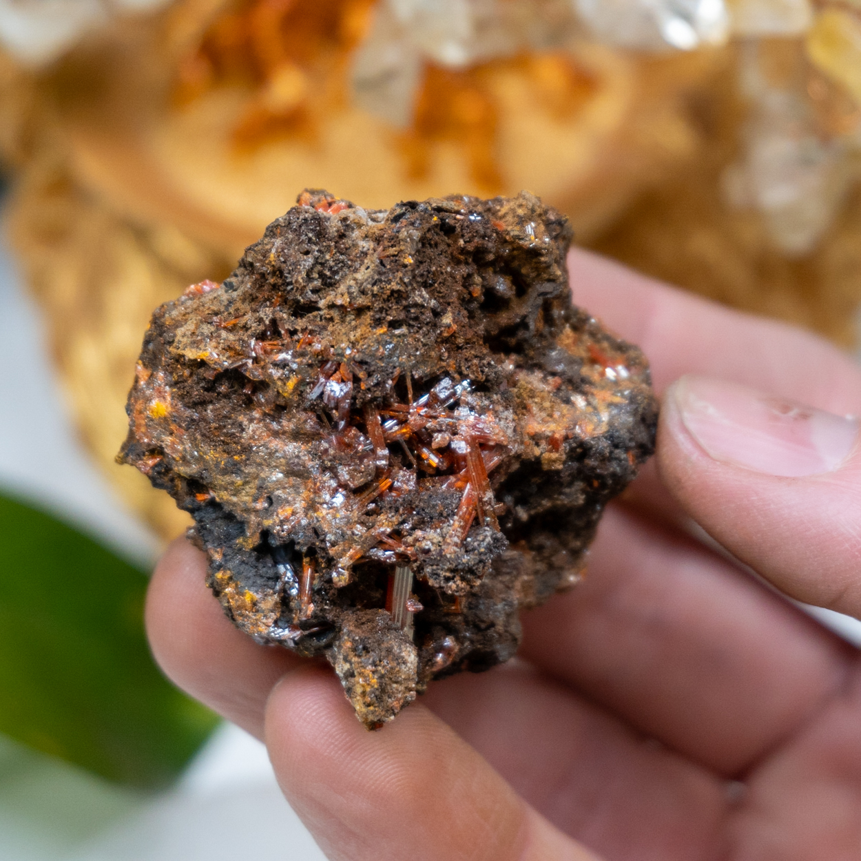 Raw Crocoite #16 - The Crystal Council