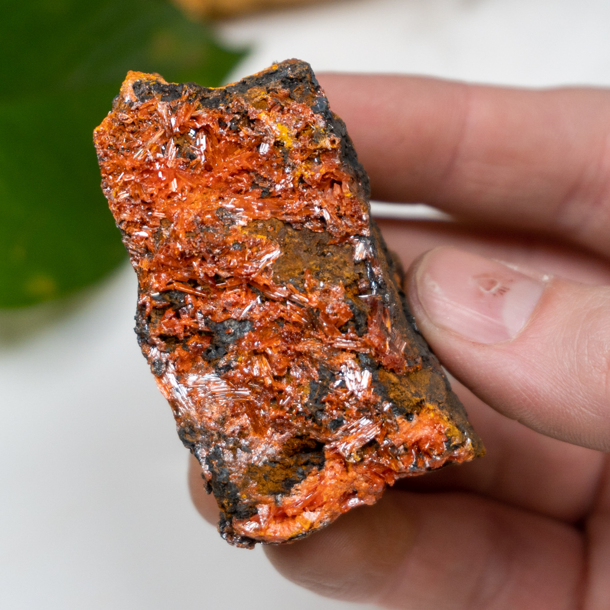 Raw Crocoite #13 - The Crystal Council