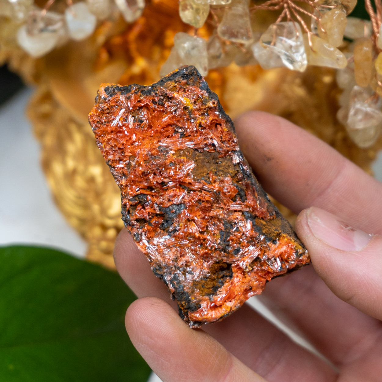 Raw Crocoite #13 - The Crystal Council