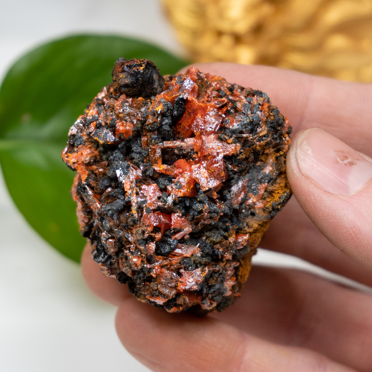 Raw Crocoite #12 - The Crystal Council