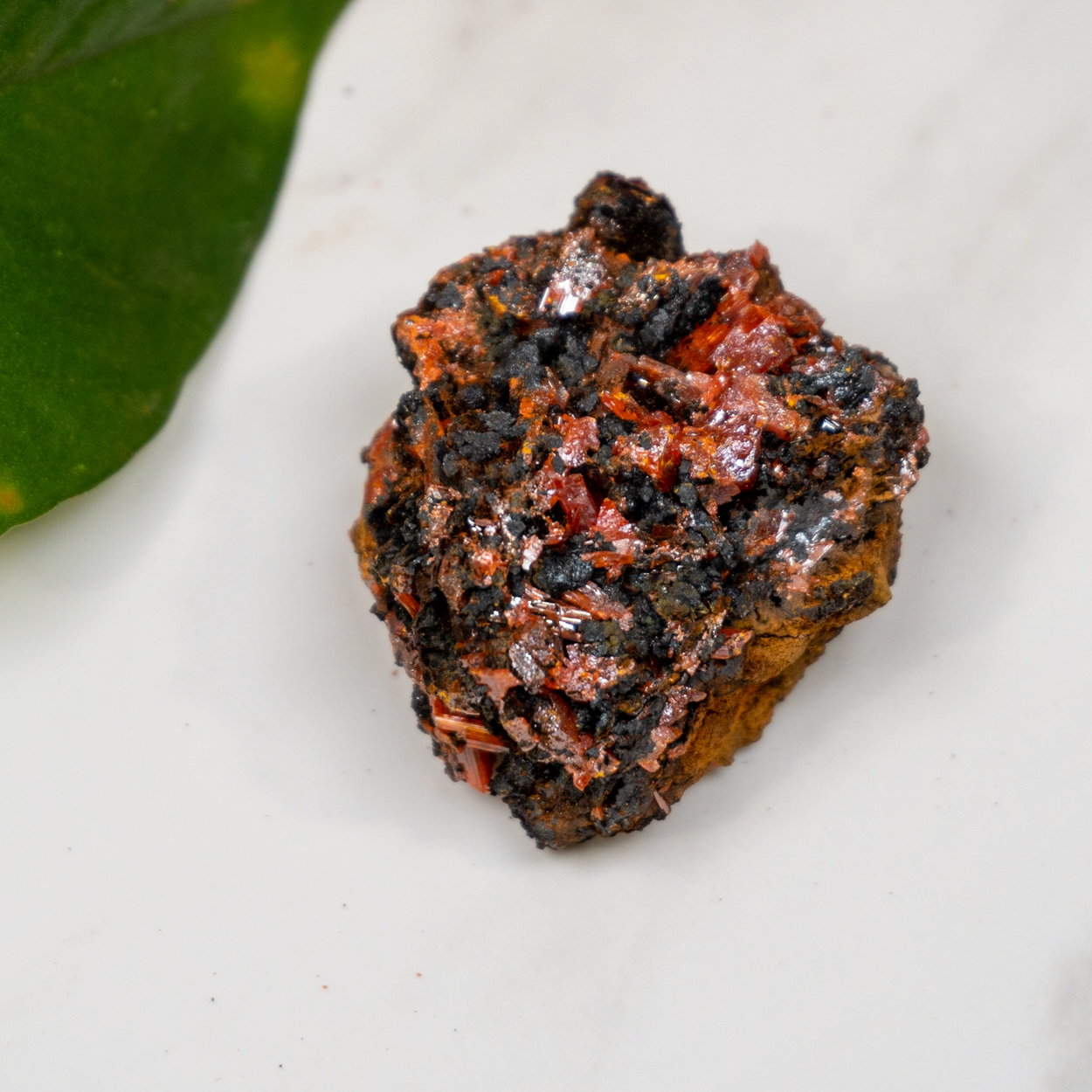 Raw Crocoite #12 - The Crystal Council