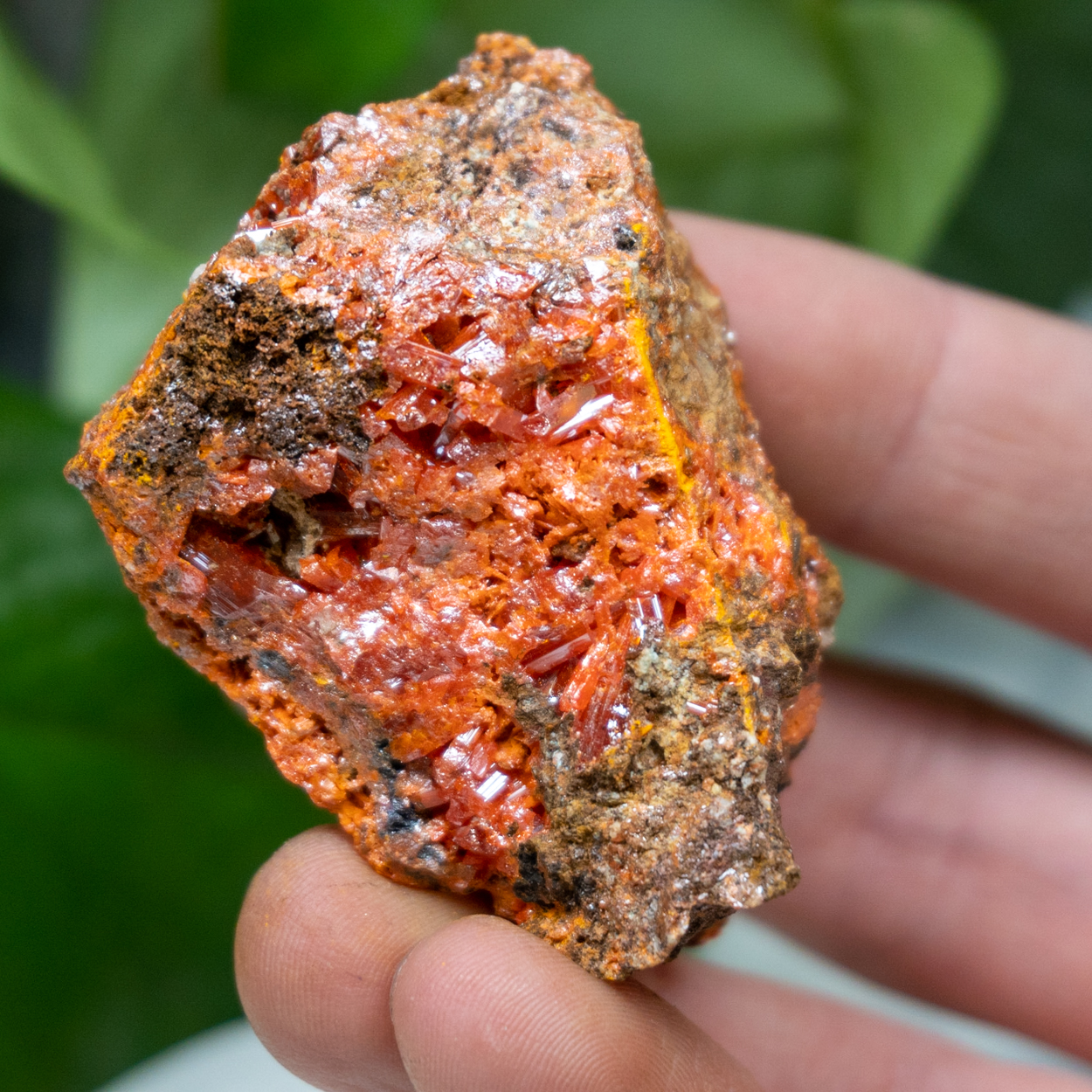 Raw Crocoite #9 - The Crystal Council