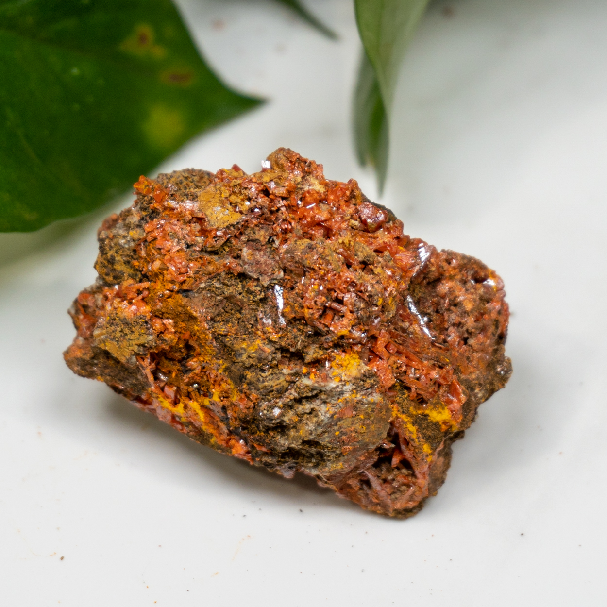 Raw Crocoite #4 - The Crystal Council