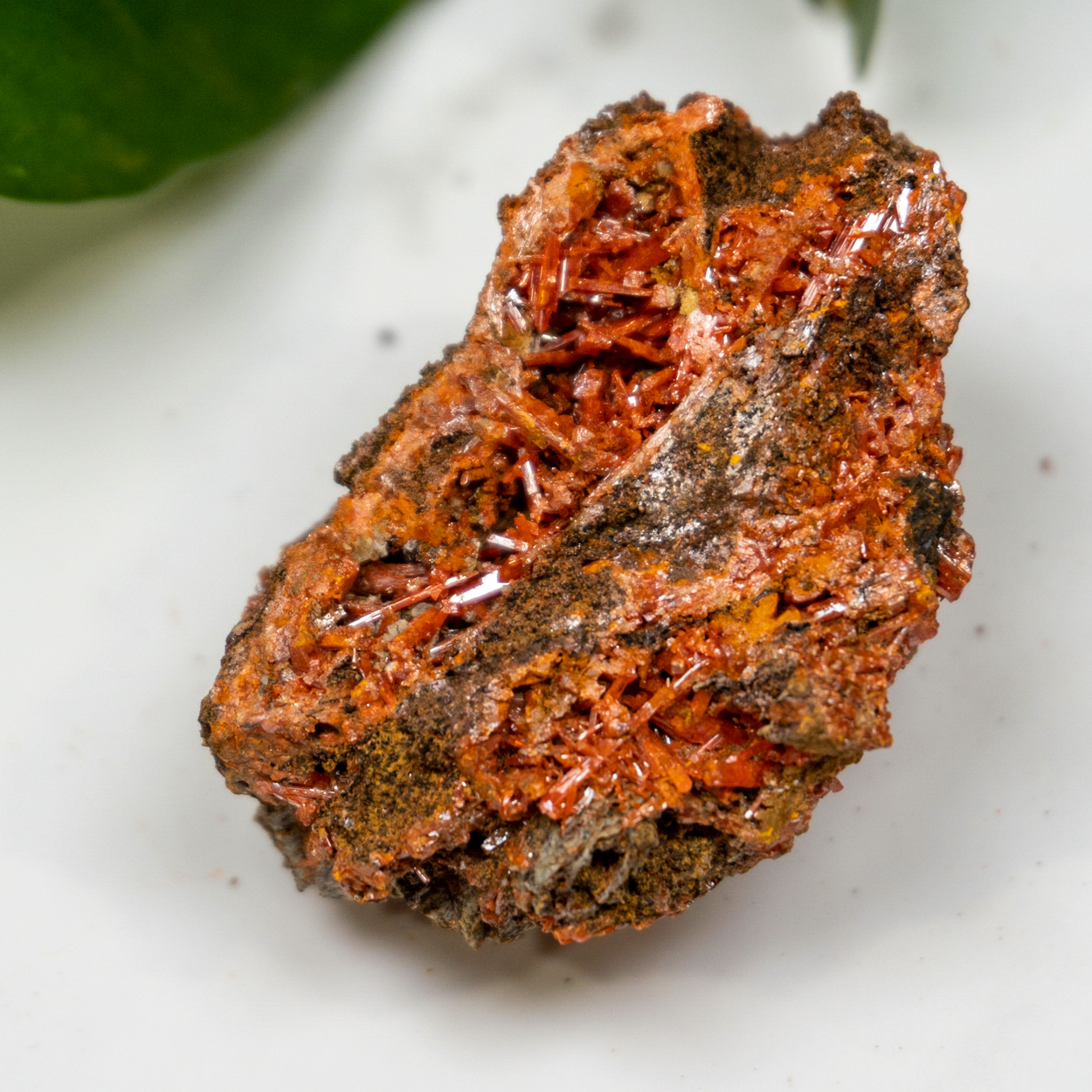 Raw Crocoite #4 - The Crystal Council