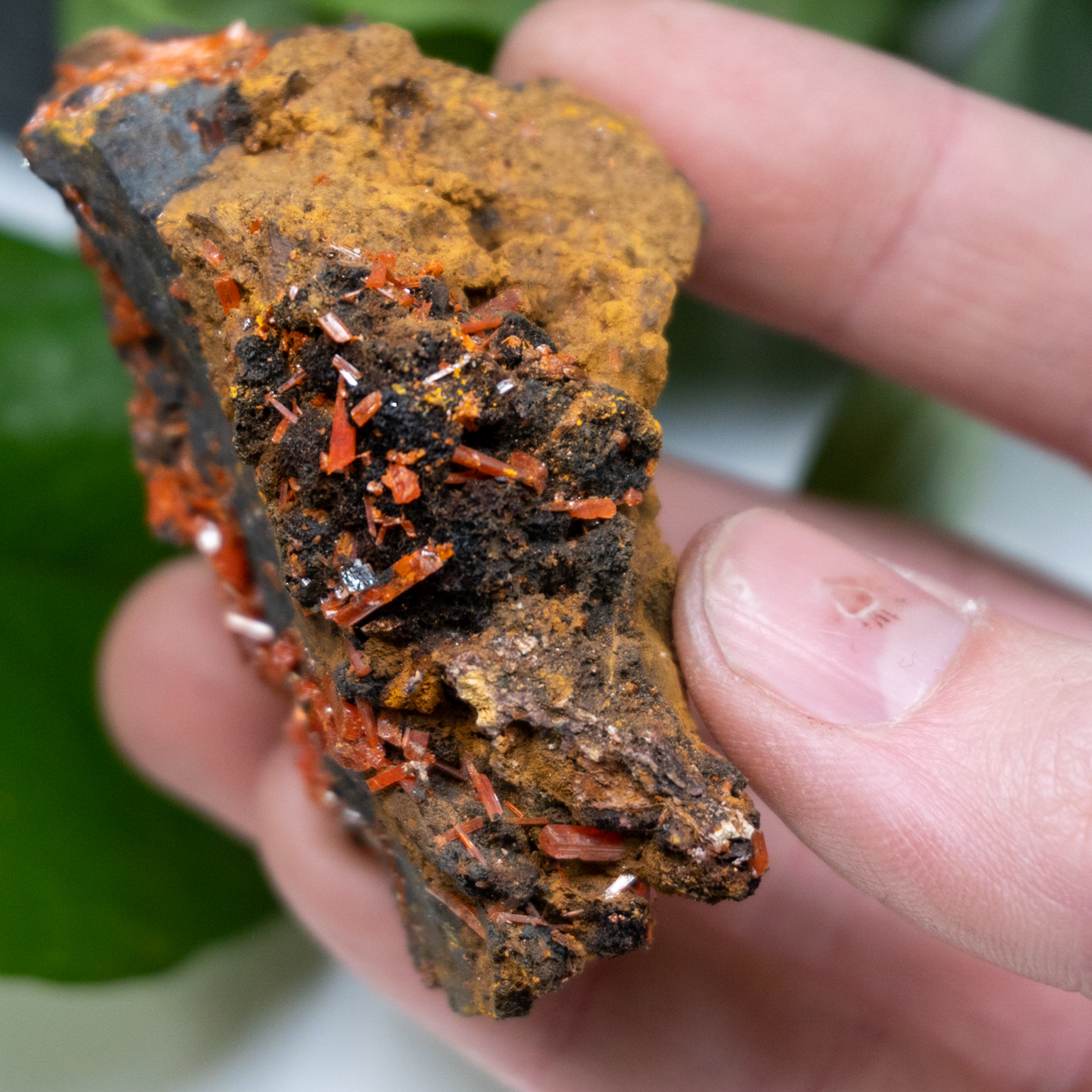 Raw Crocoite #3 - The Crystal Council