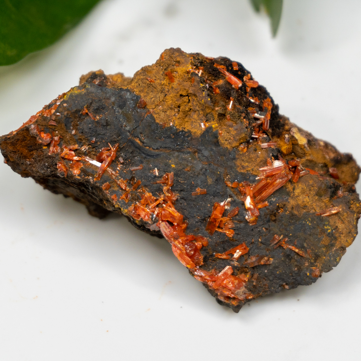 Raw Crocoite #3 - The Crystal Council