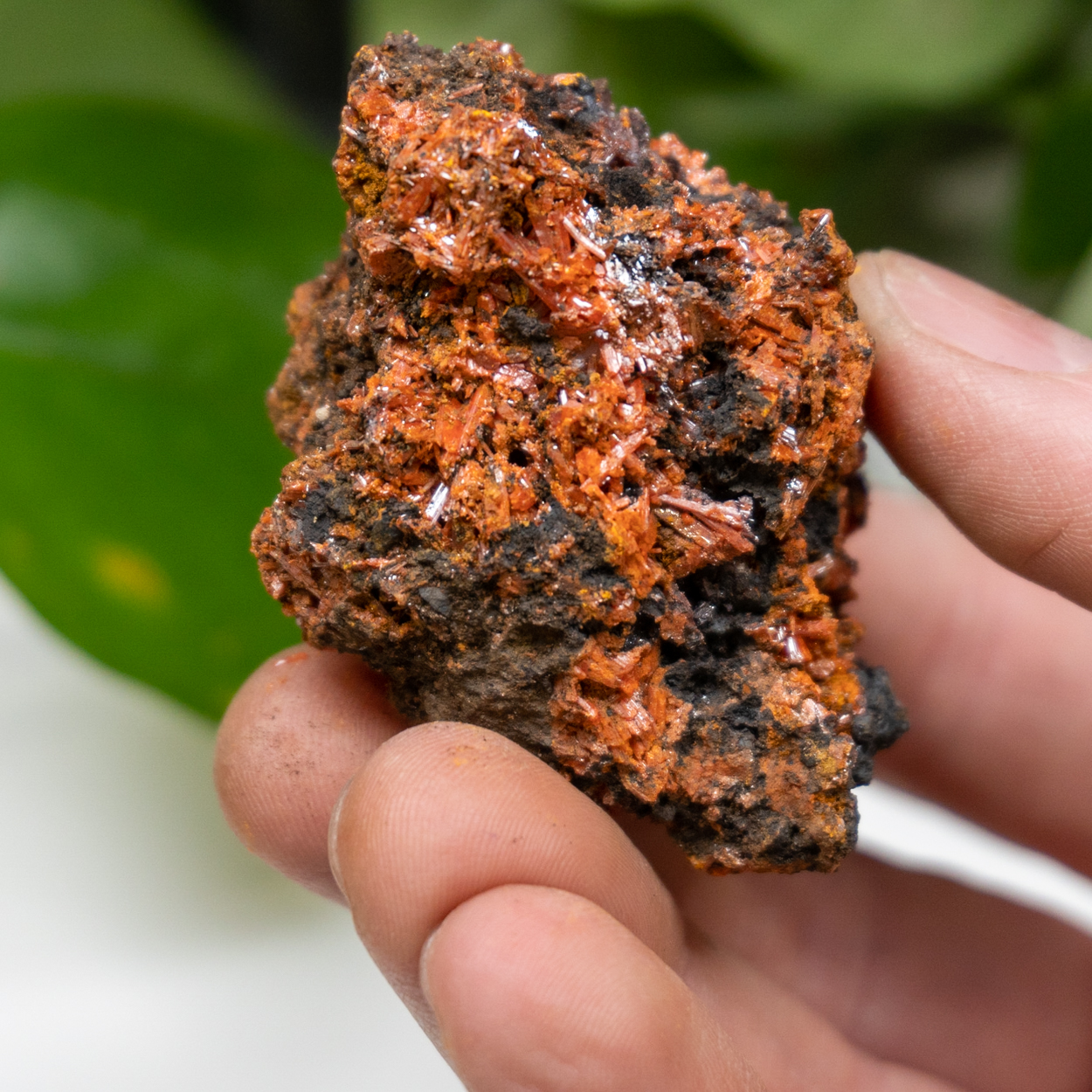 Raw Crocoite #2 - The Crystal Council