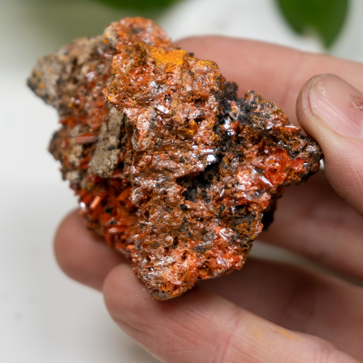 Raw Crocoite #1 - The Crystal Council