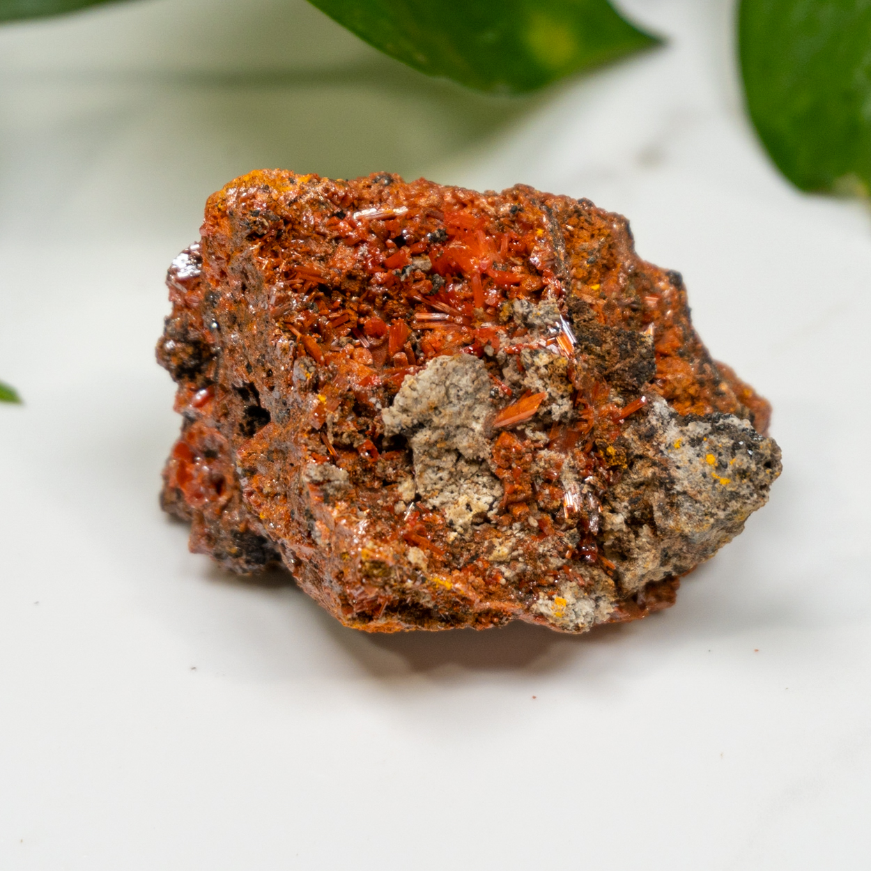 Raw Crocoite #1 - The Crystal Council