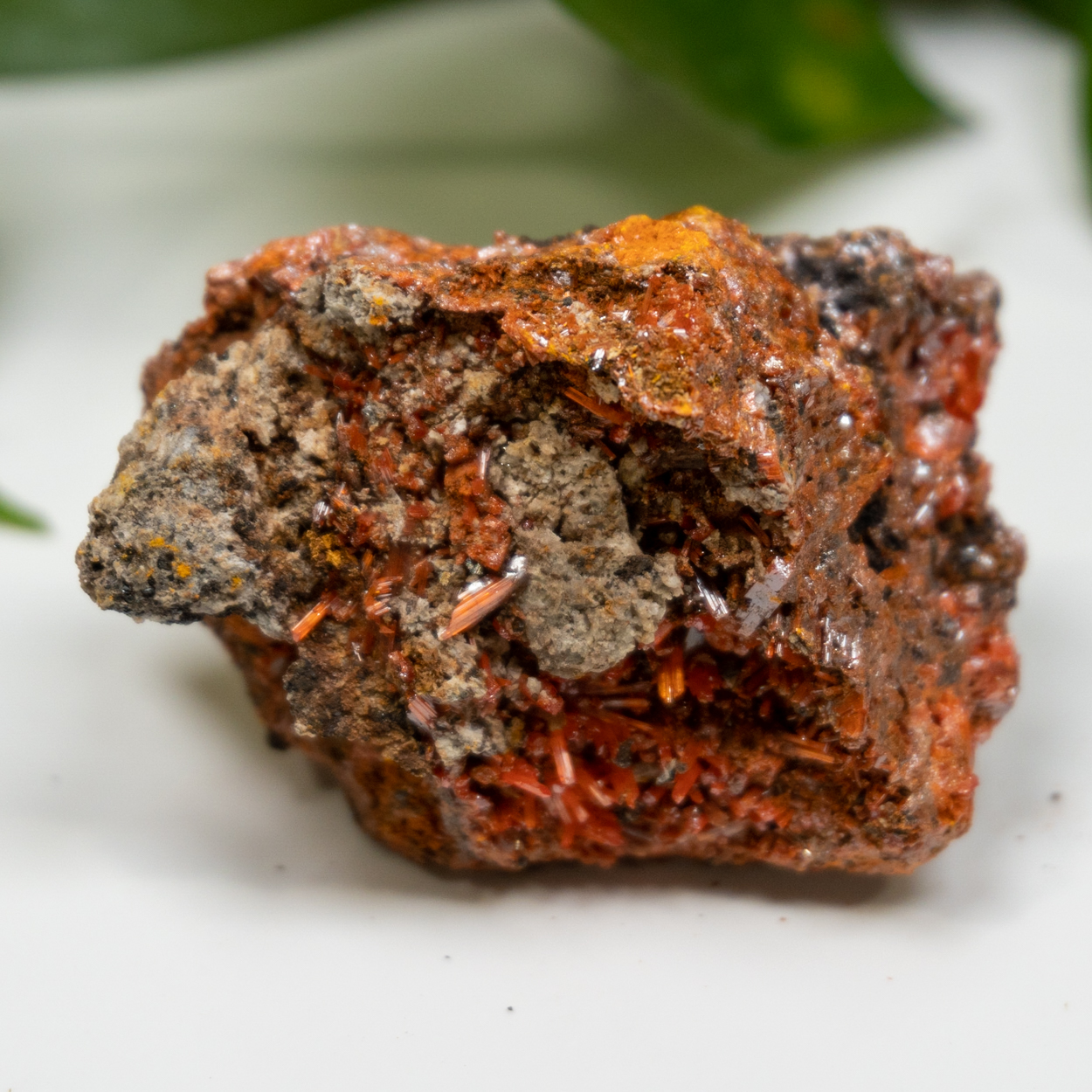 Raw Crocoite #1 - The Crystal Council