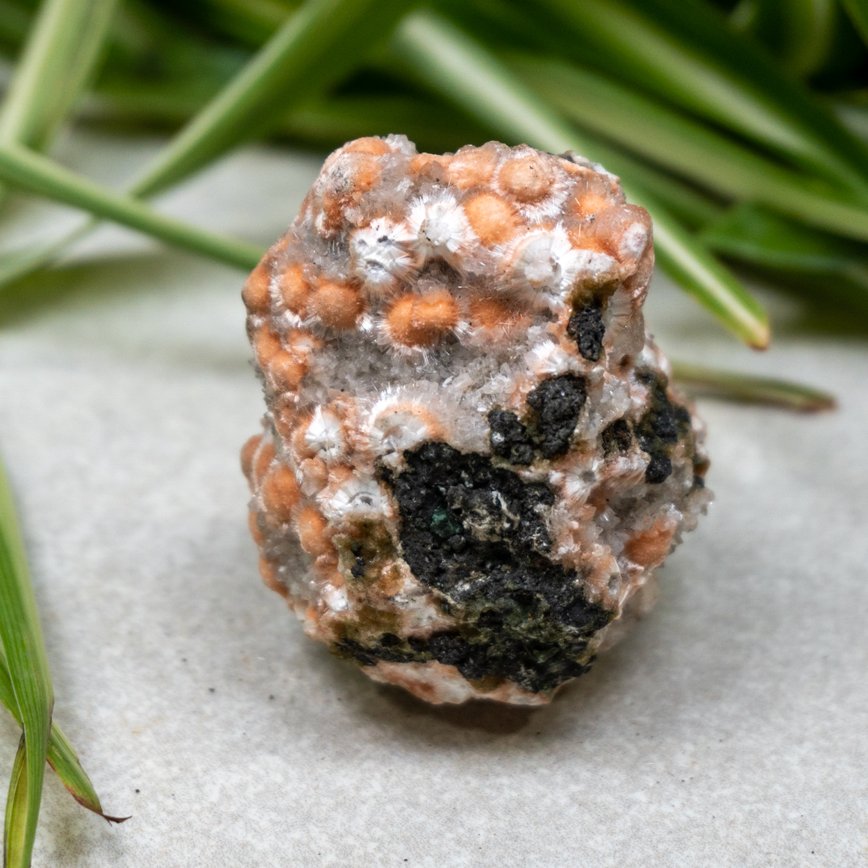 Raw Thomsonite #30 - The Crystal Council