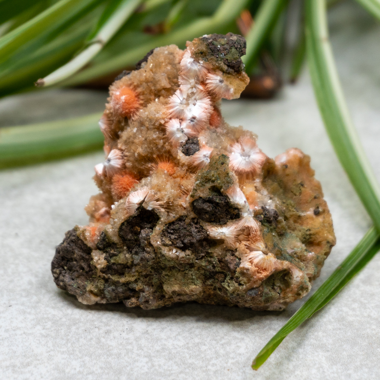 Raw Thomsonite #25 - The Crystal Council